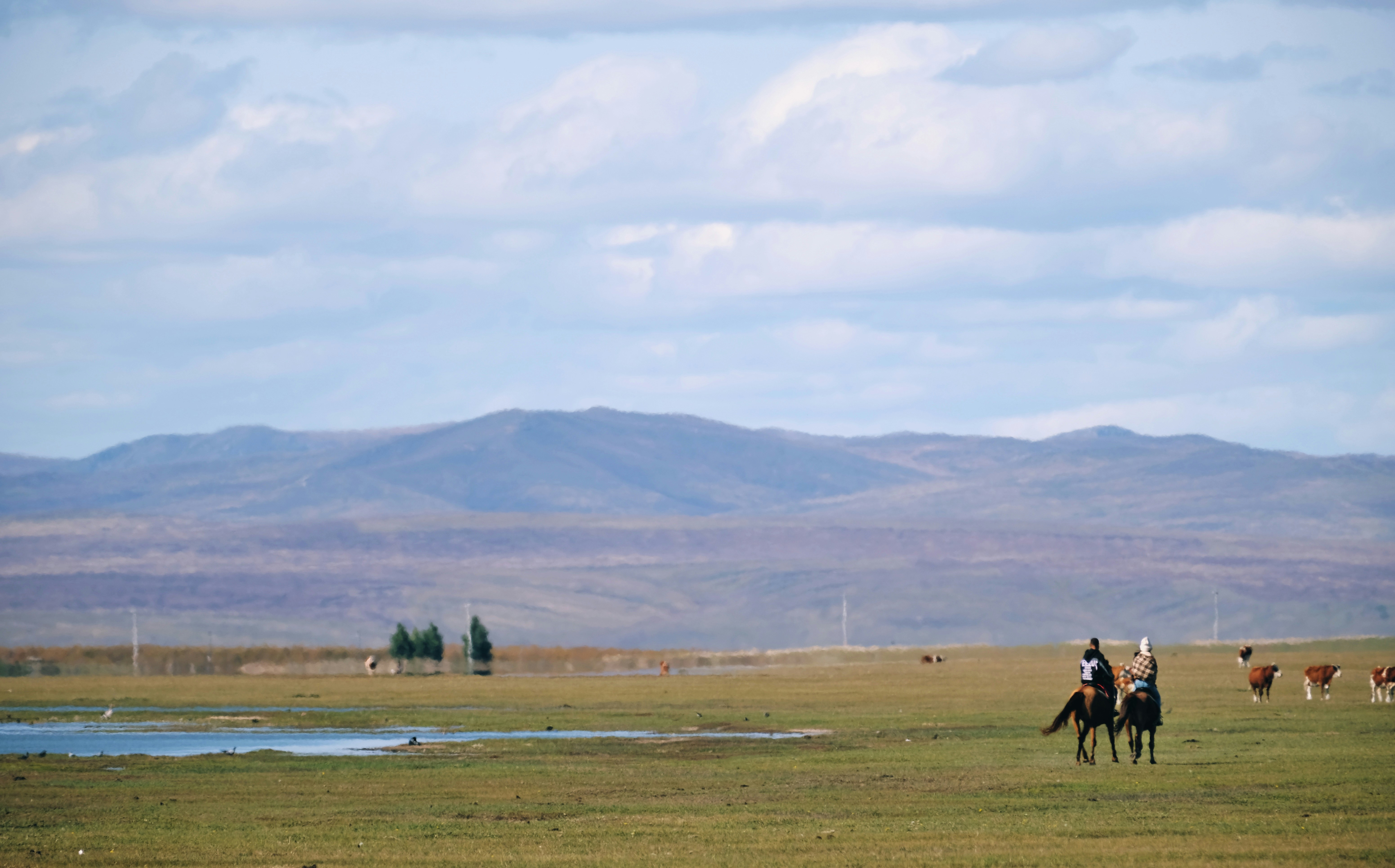 Riders in the Vastness: A Journey Through the Steppe