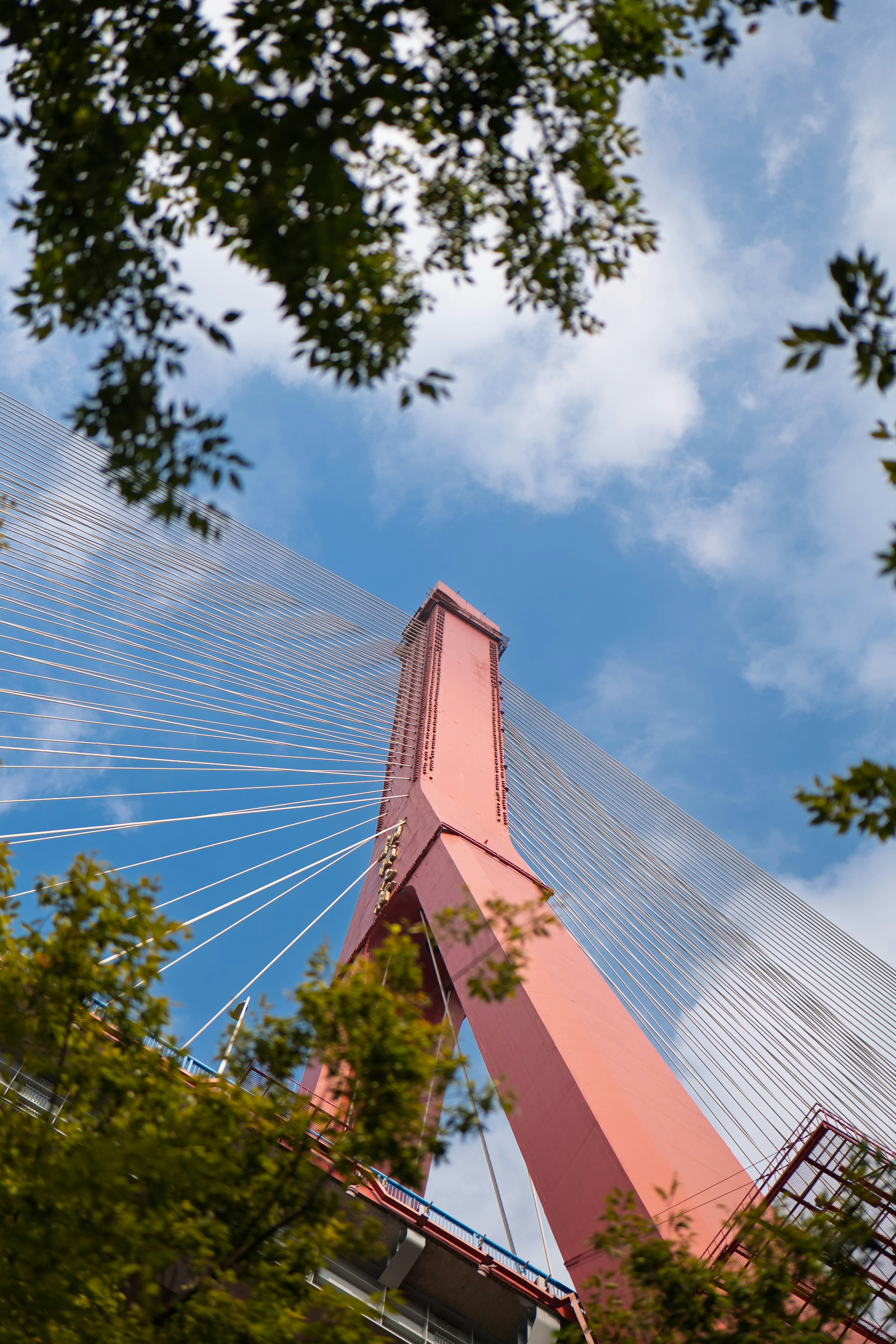 Suspended in Time: The Architectural Elegance of a Modern Bridge