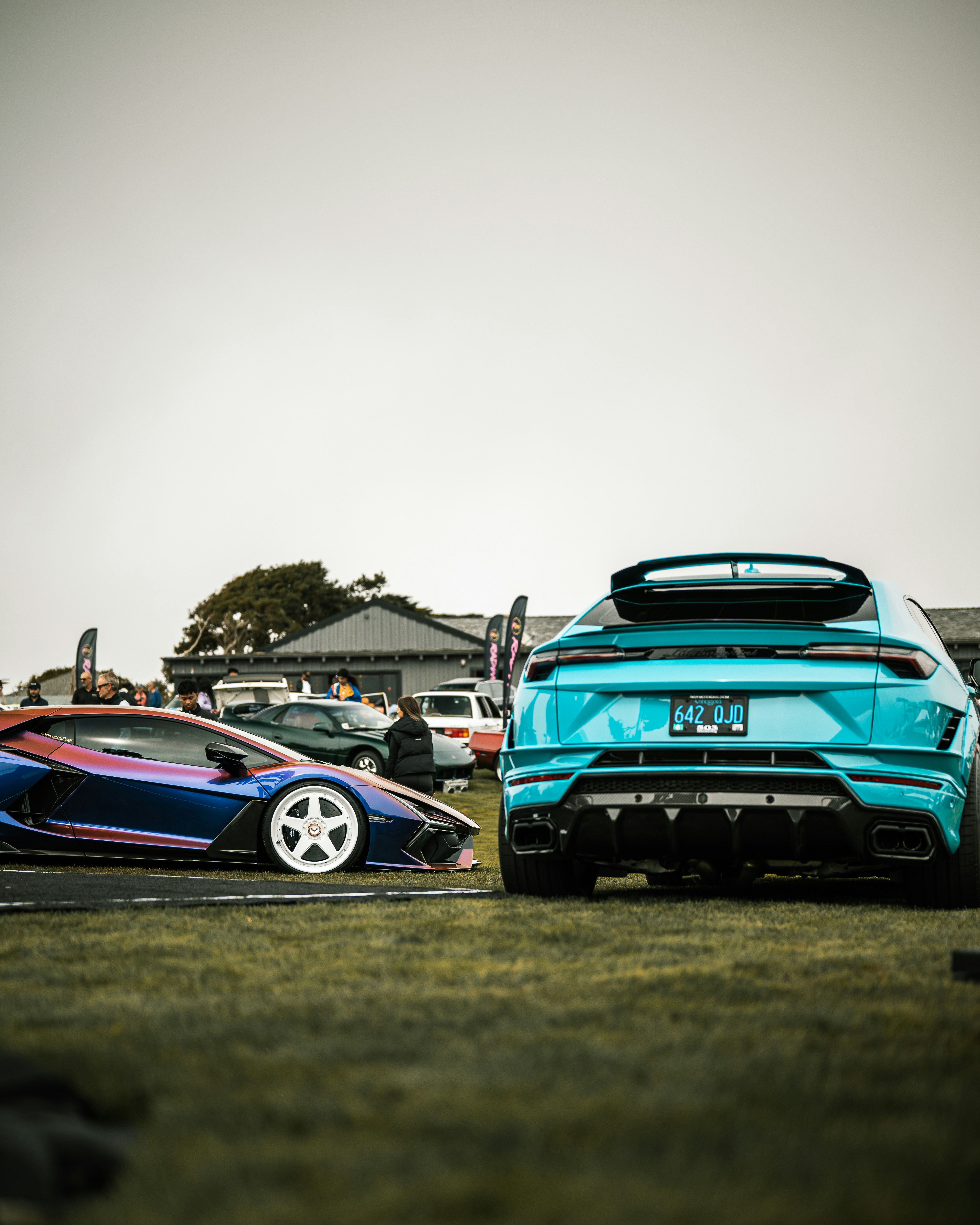 Blue beast and a low-slung silhouette: a car-spotting scene at the show field