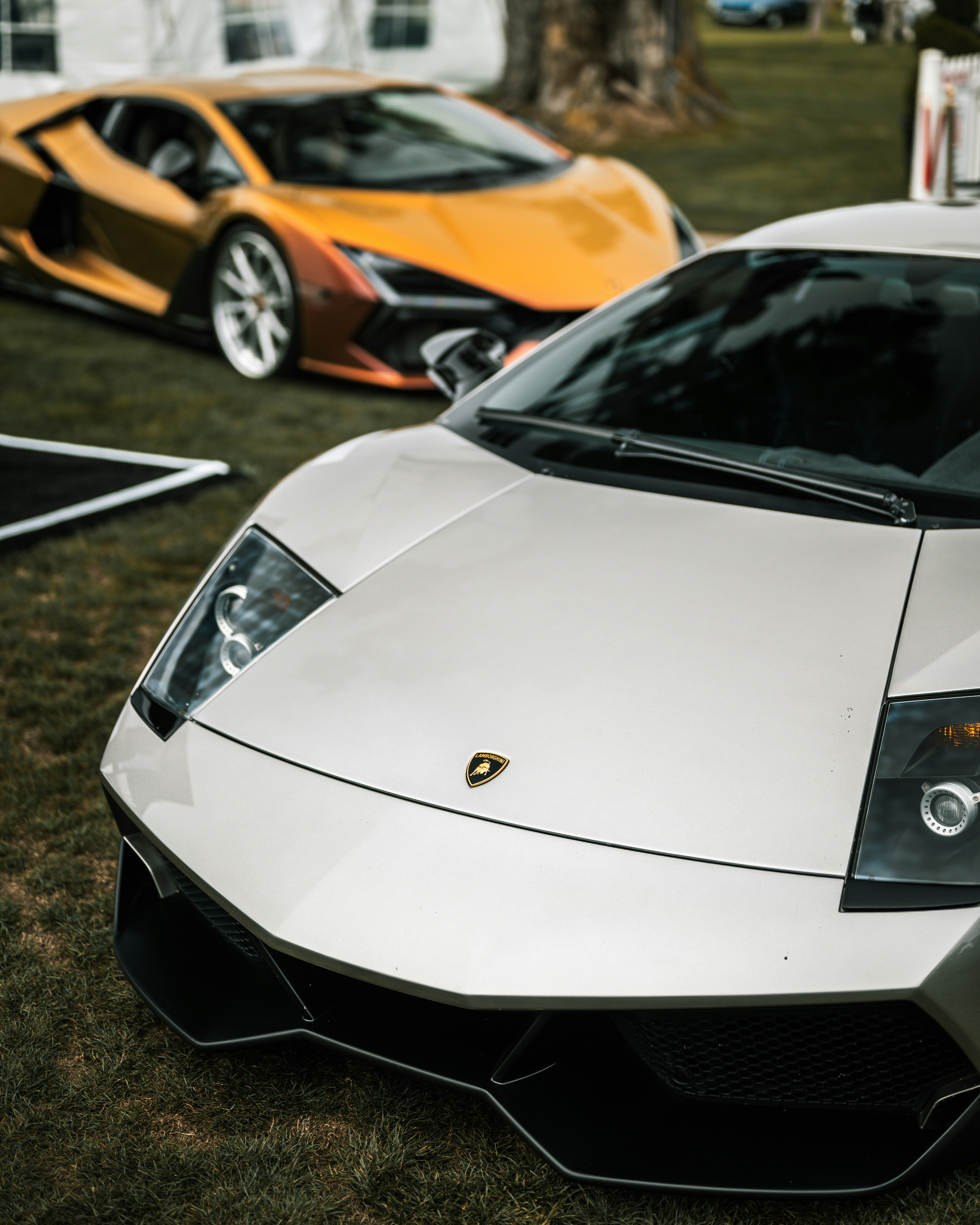 Two luxury sports cars parked on grass.