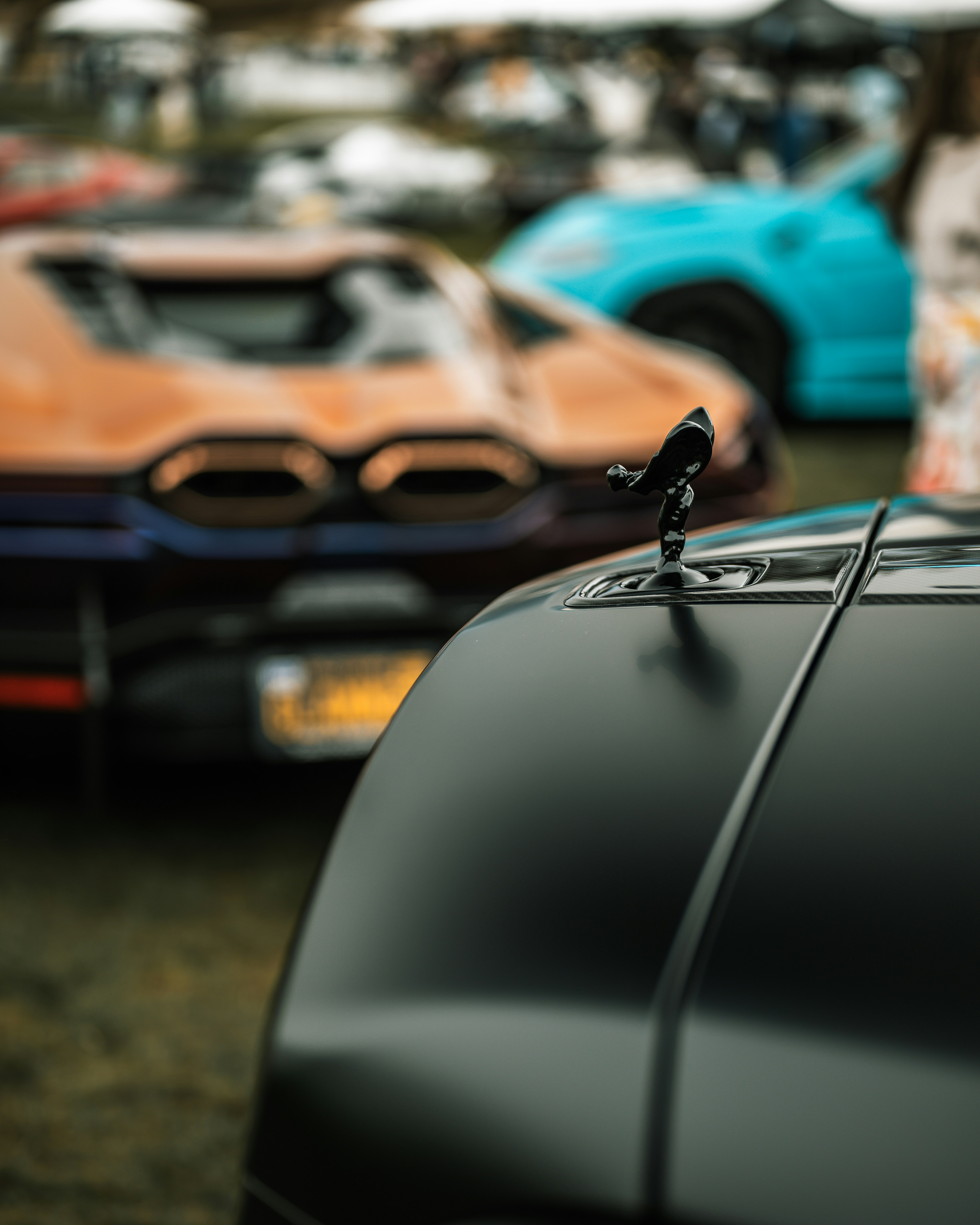 Chrome Hood Ornament in Focus Amid a Sea of Colorful Exotics