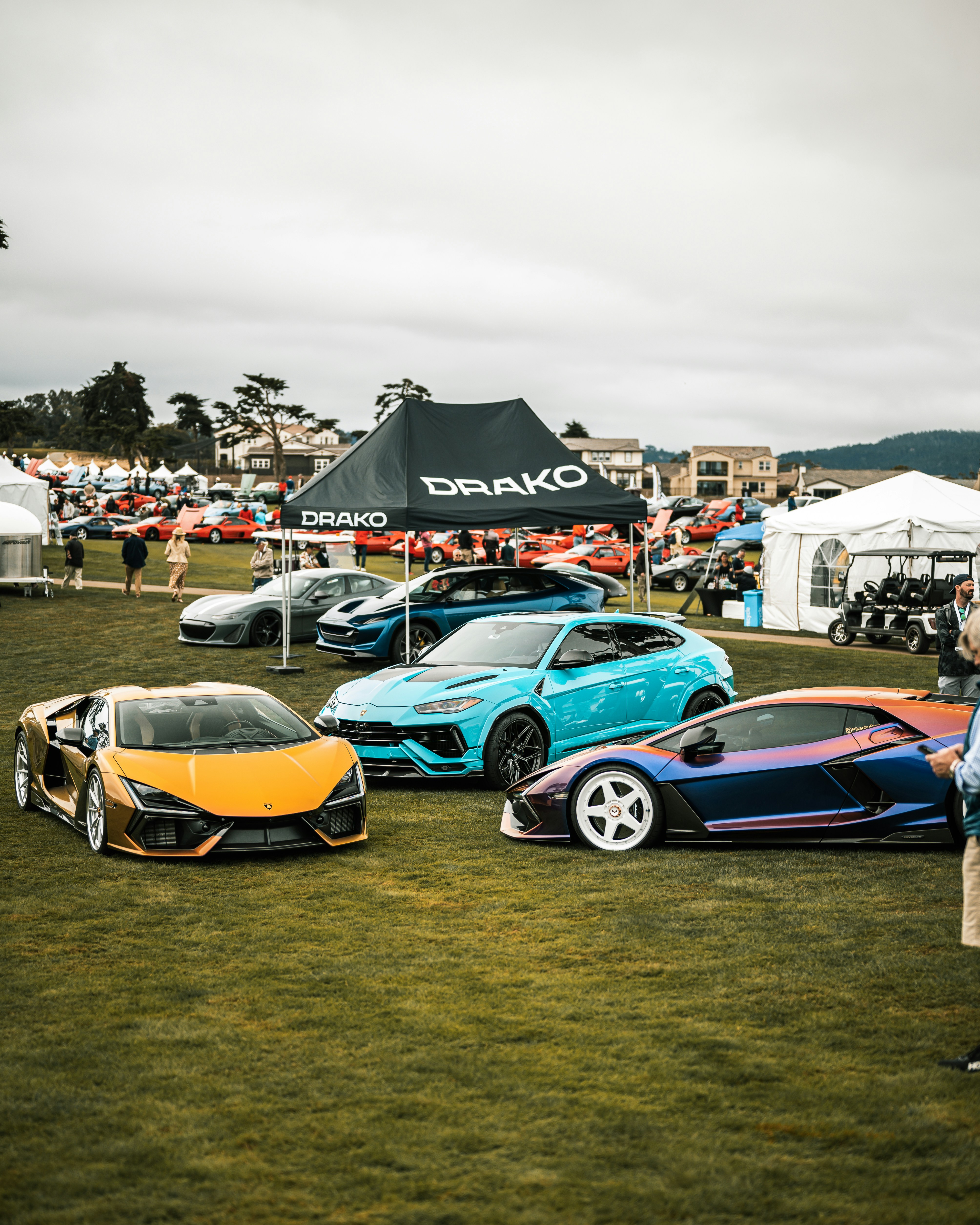 Turquoise Velocity Under the Drako Canopy: Exotics Gather on the Lawn