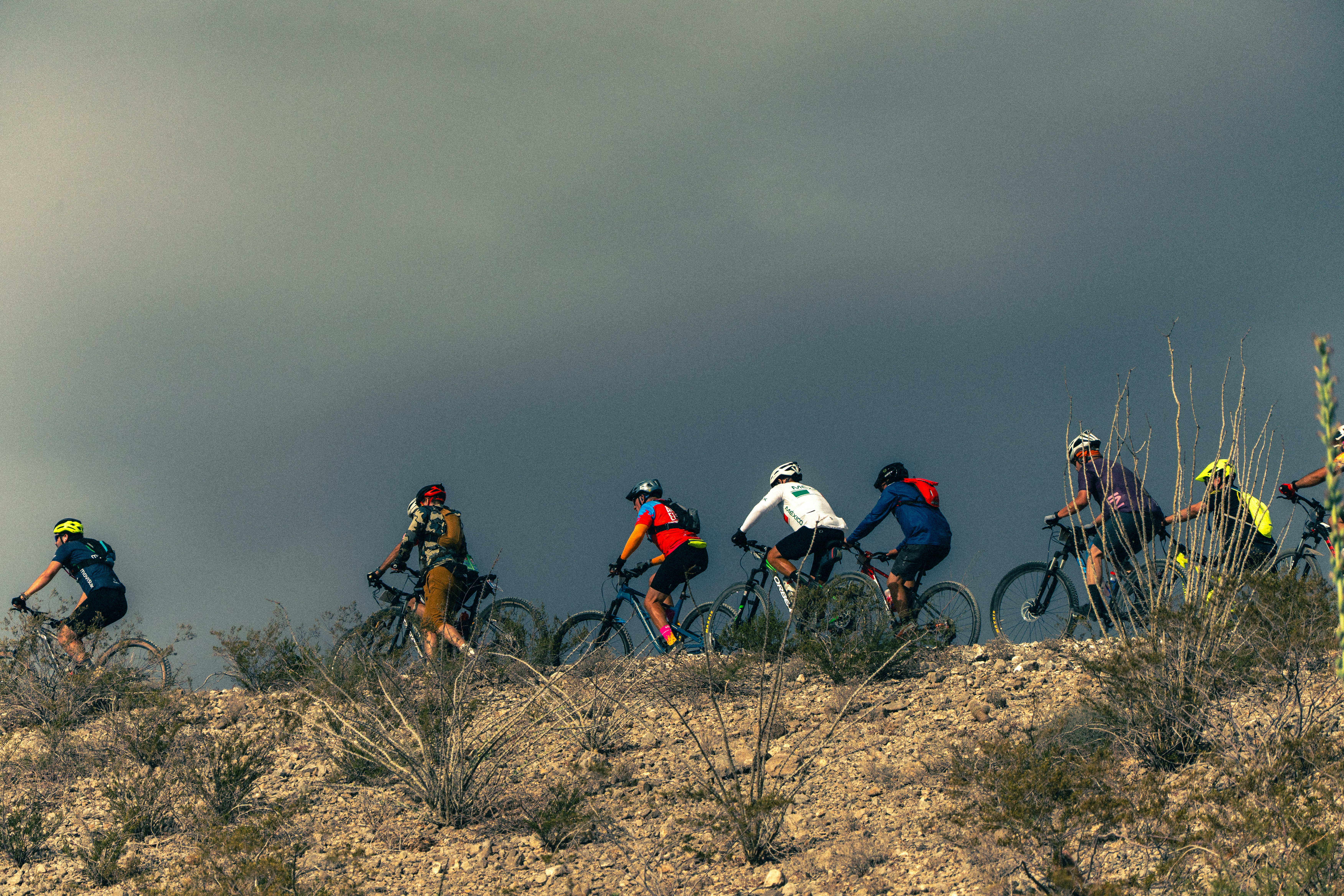 Group of cyclists riding on a desert trail