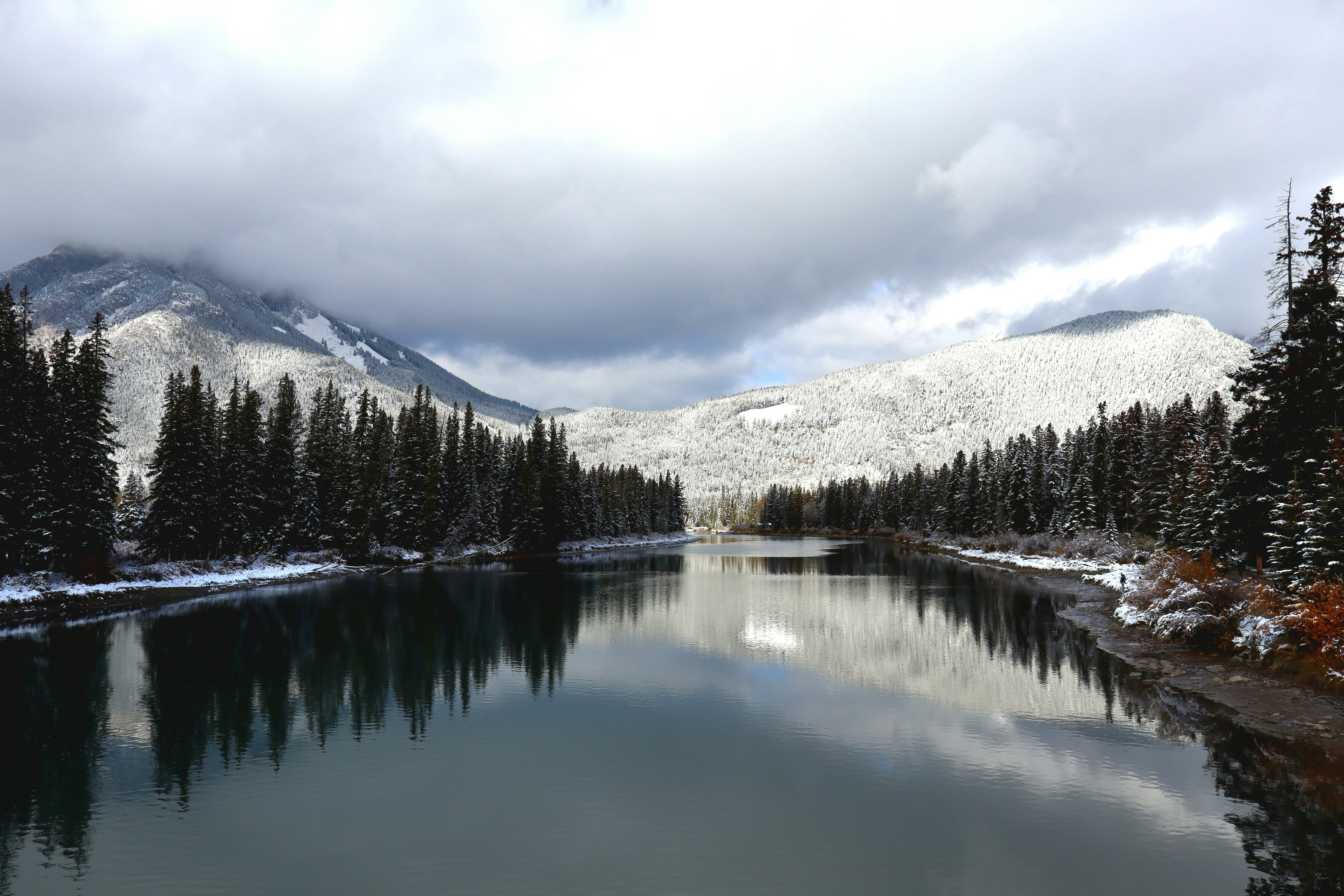Whispers of Winter's Embrace
