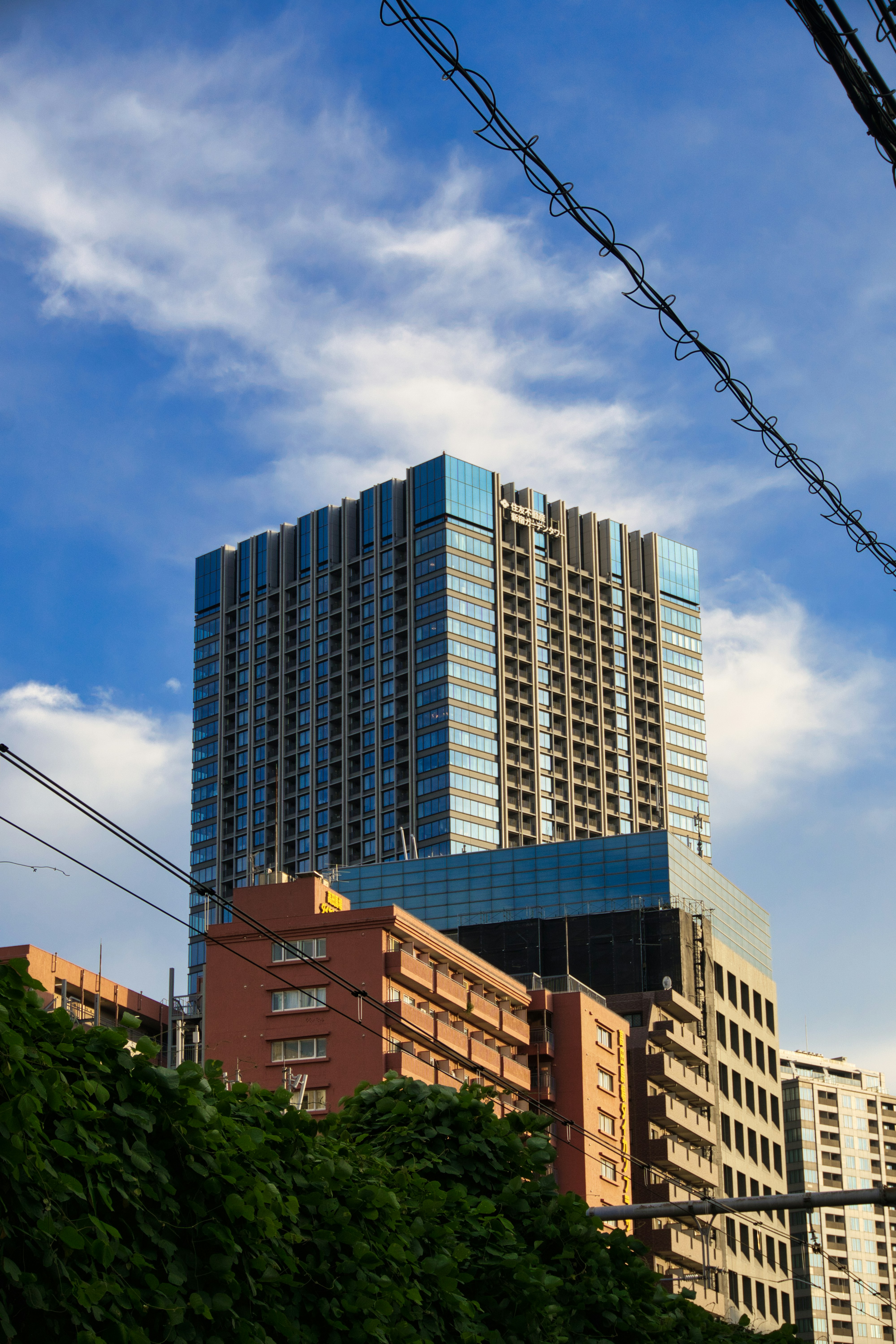 Urban Heights: A Glimpse into Modern Architecture