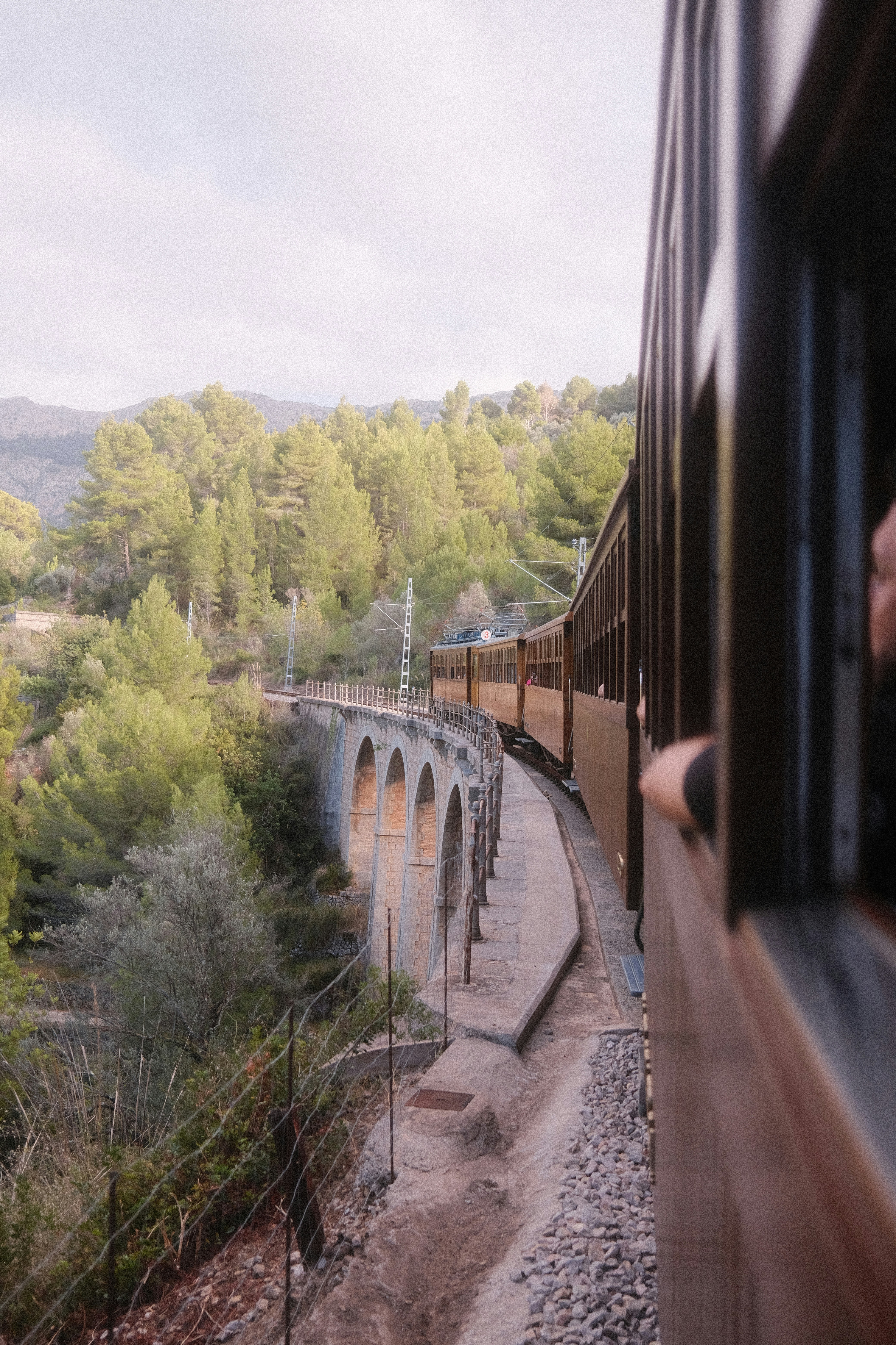 Train travels over a stone bridge in green forest.