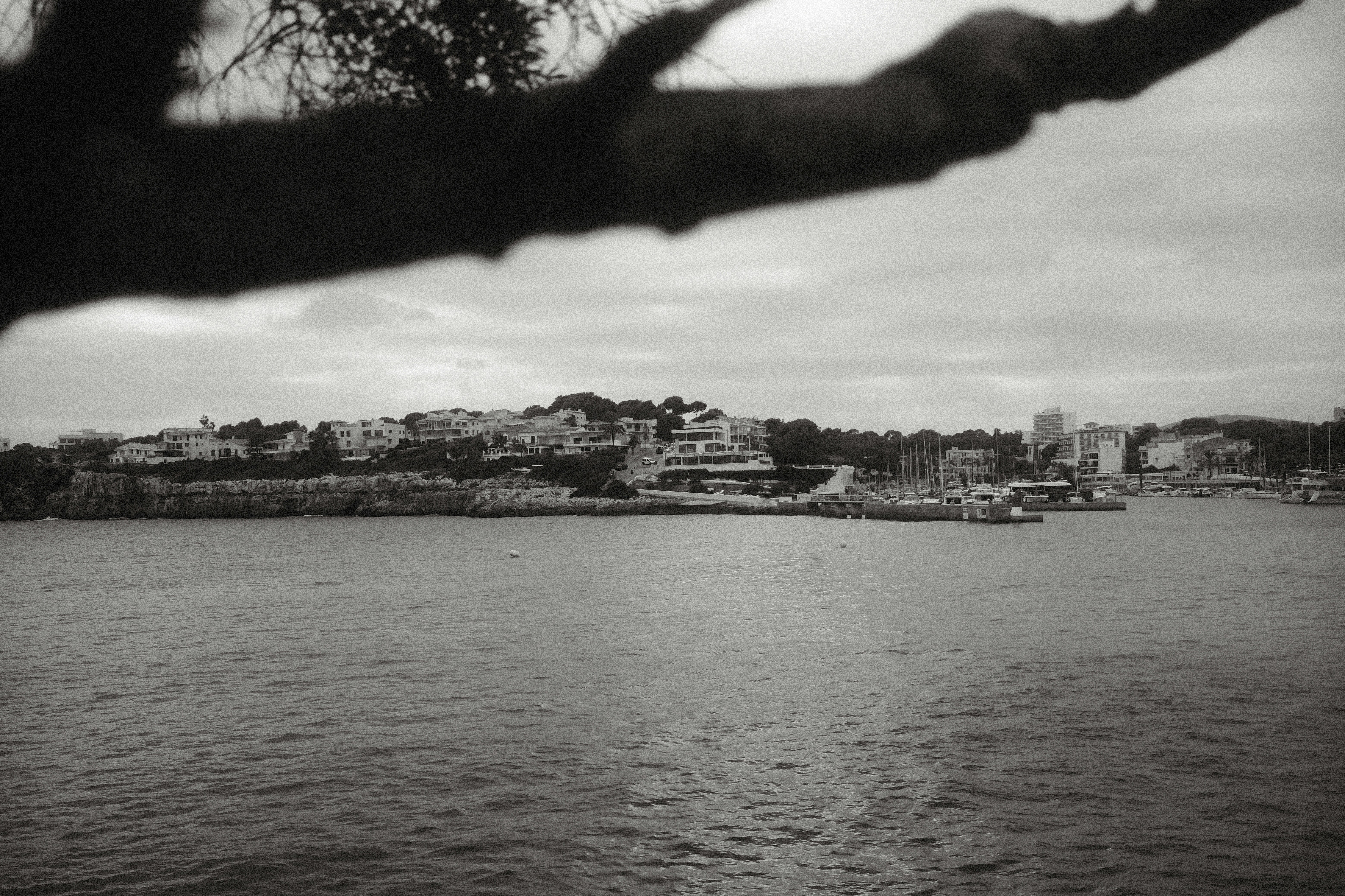 Coastal town with buildings overlooking the water.
