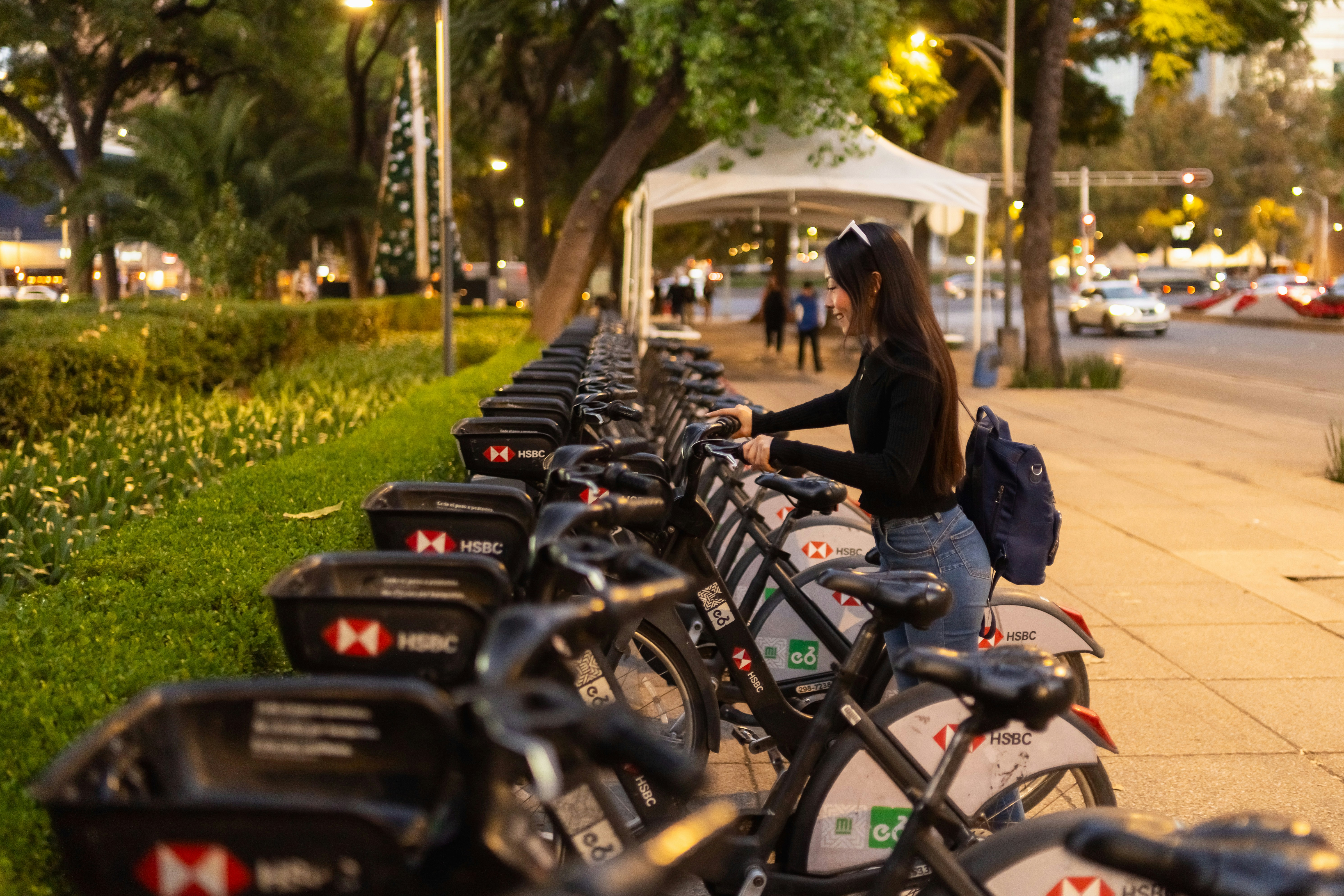 Dusk by the Bike Dock: A Quiet Moment Among the Row of Shared Rides