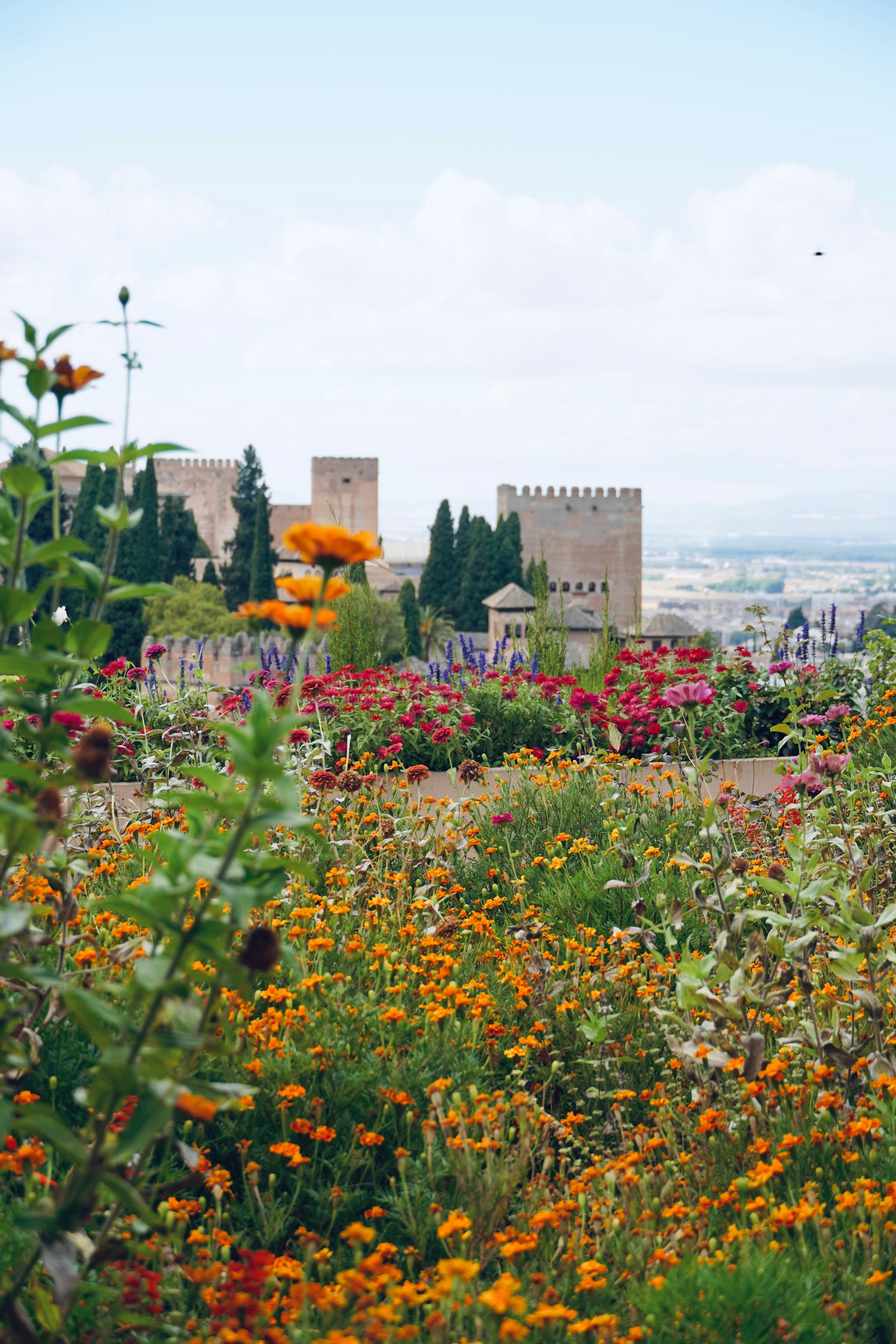 A Floral Embrace of History