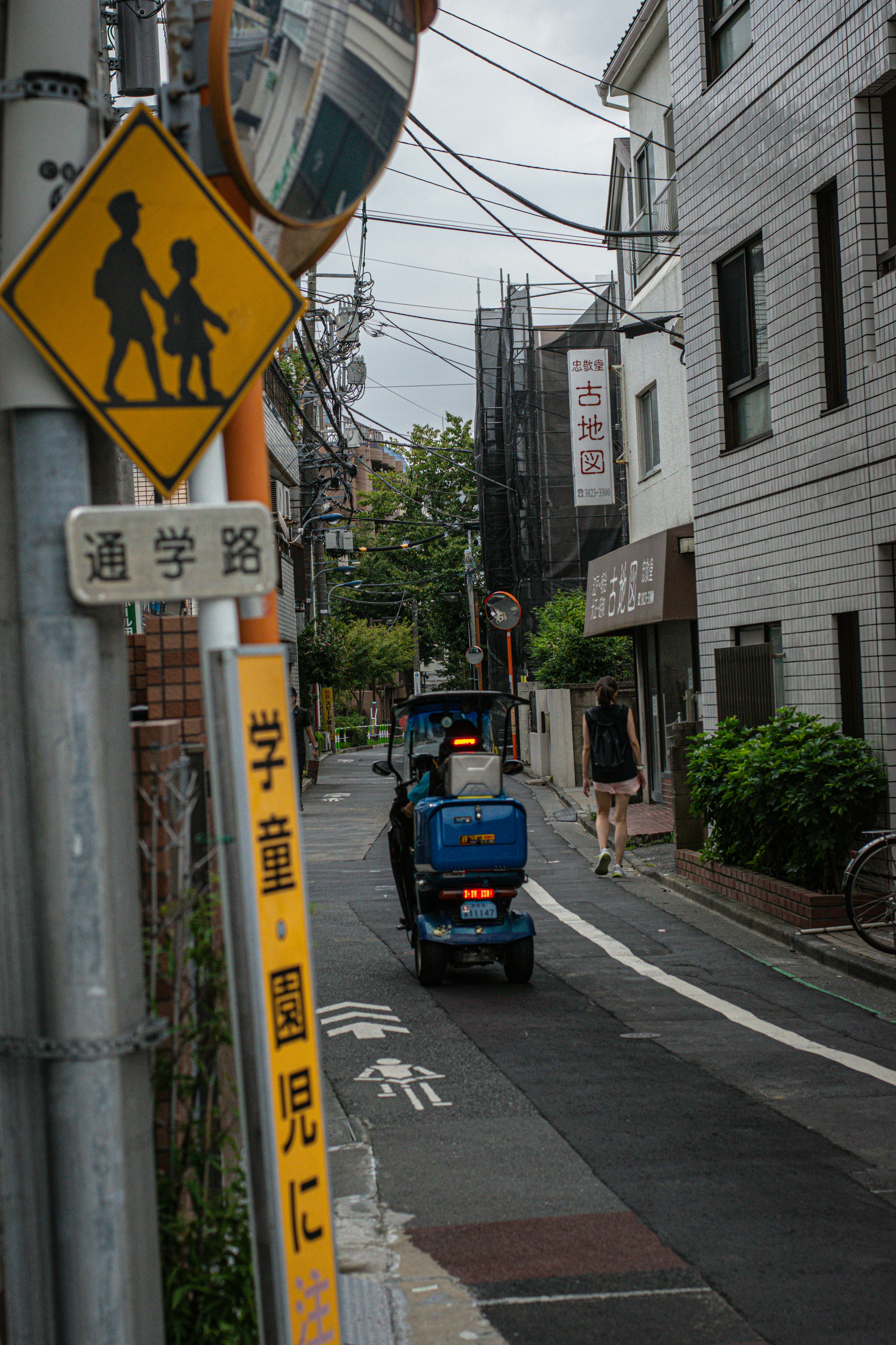 Urban Harmony: A Quiet Street Scene