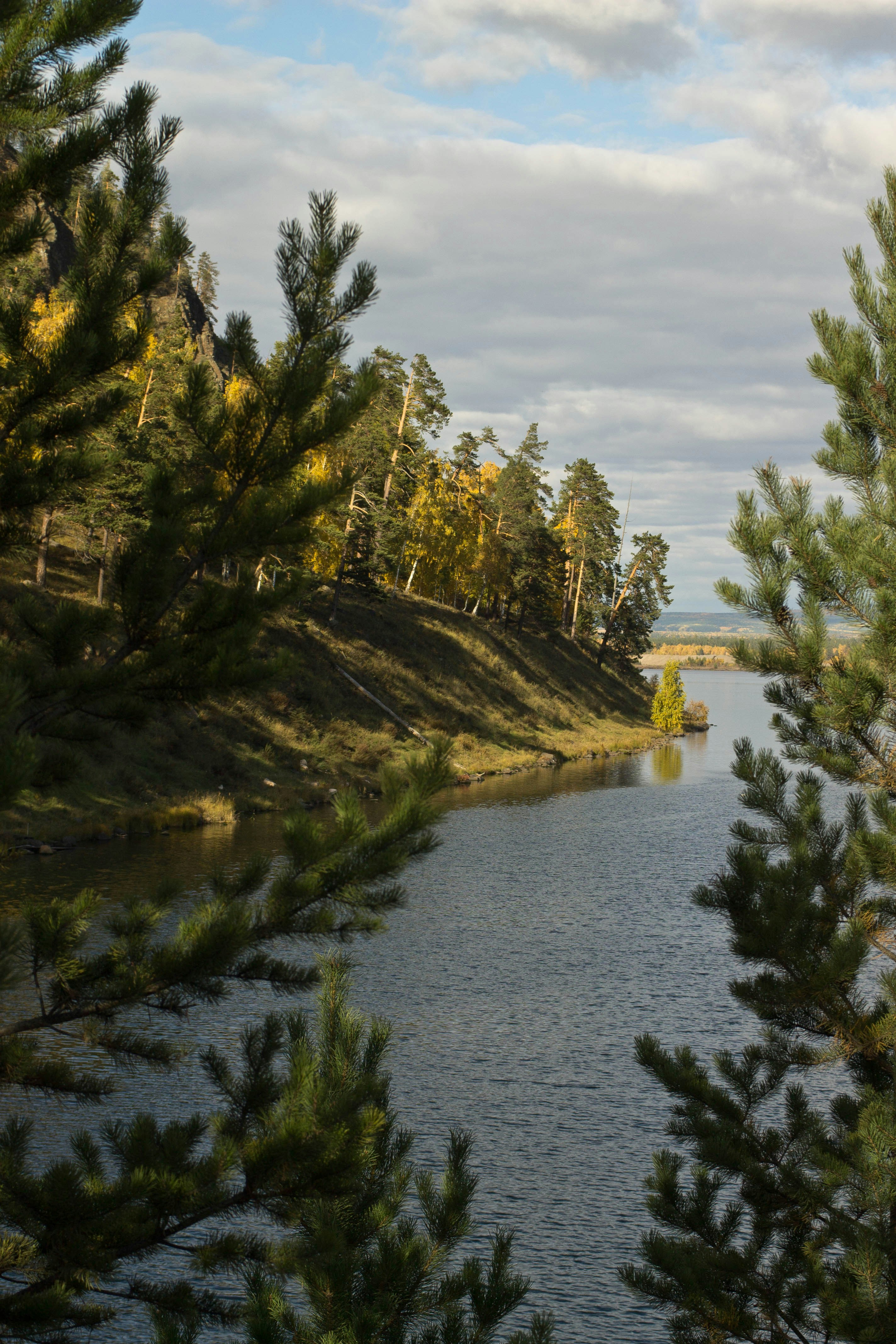 Pine trees frame a calm lake and wooded hillside.