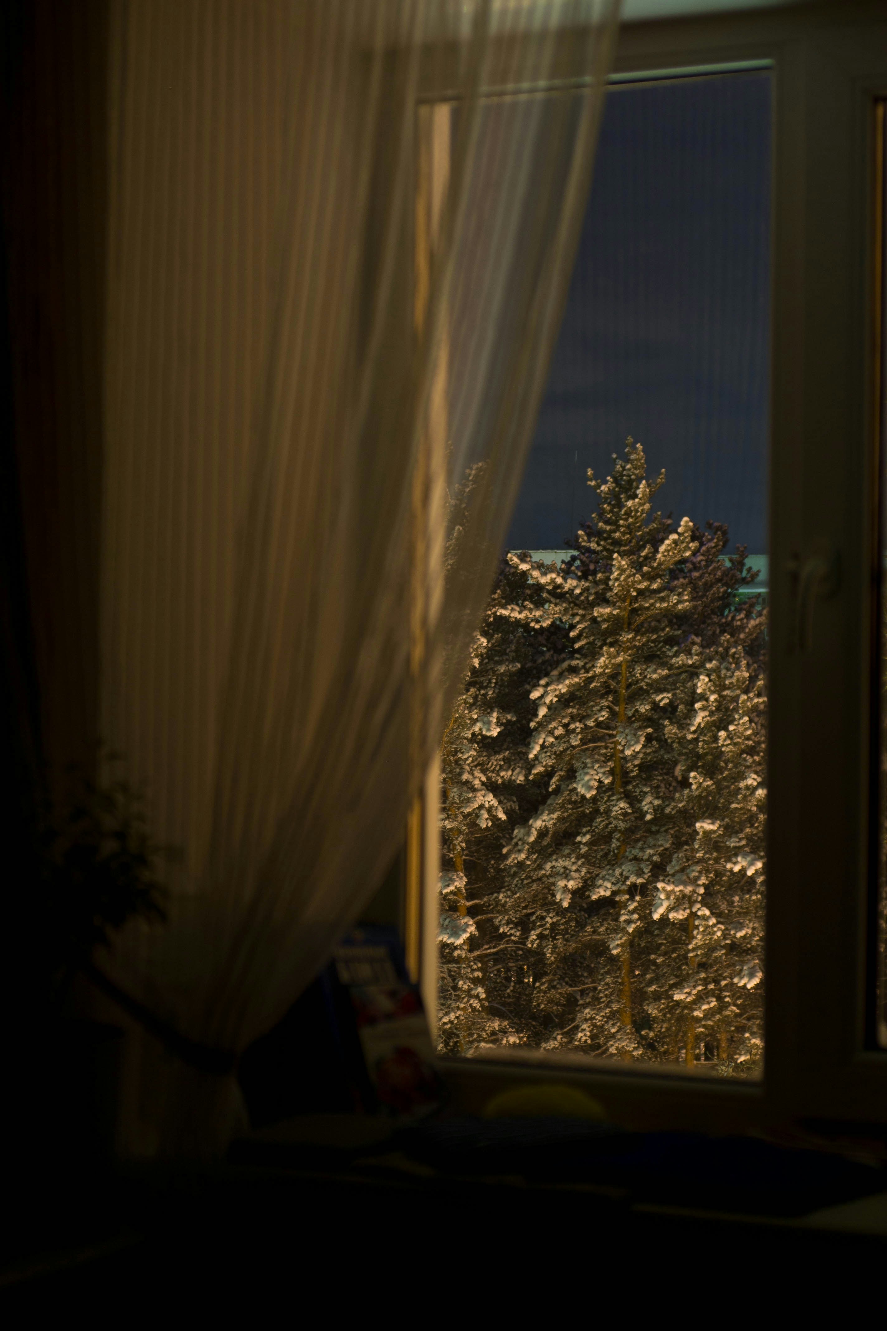 Whispers of Winter Through the Window