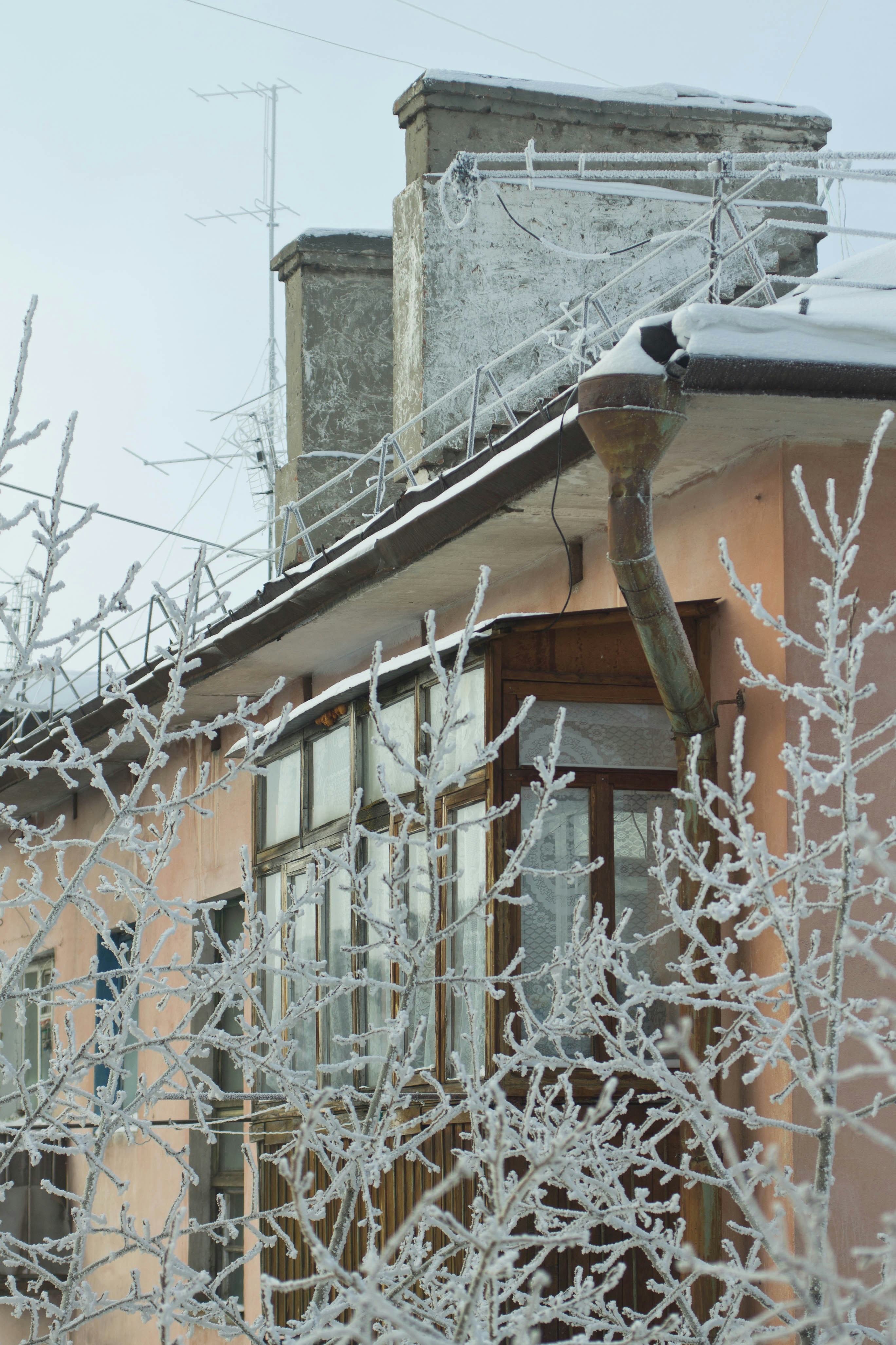 Frosted Facade: A Winter's Embrace