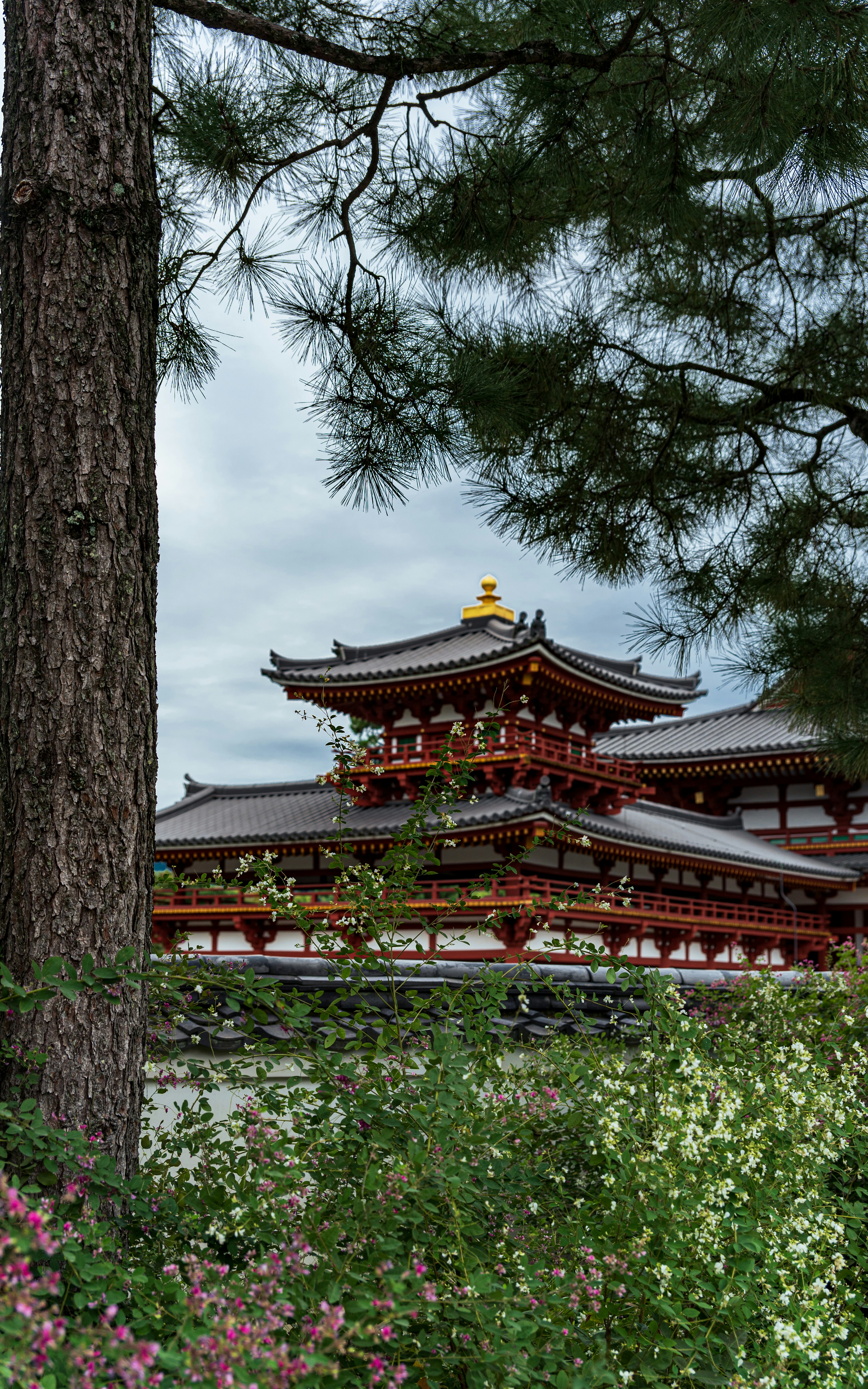 Whispers of Tradition Amidst Nature's Embrace