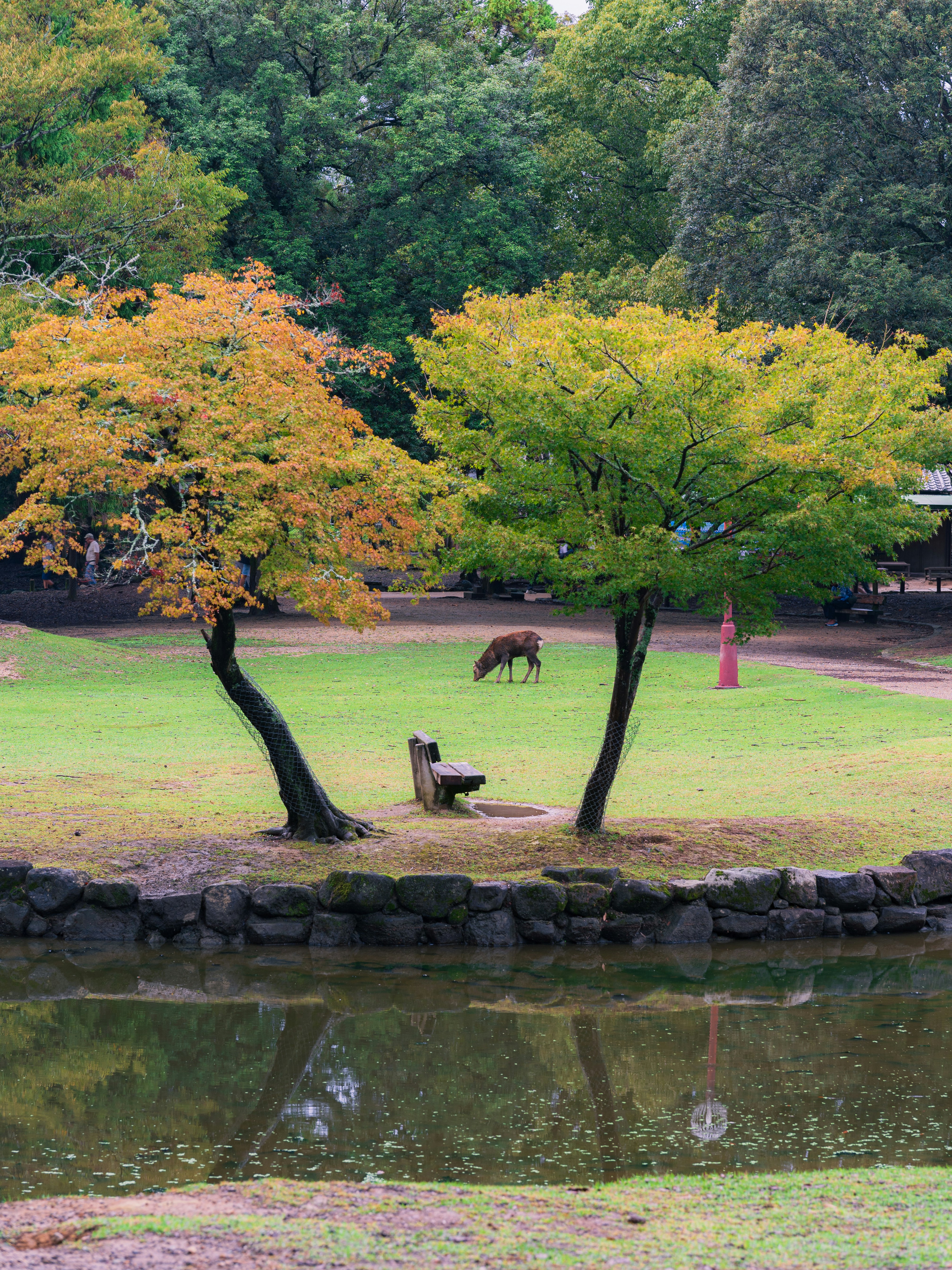 Harmony of Nature and Serenity