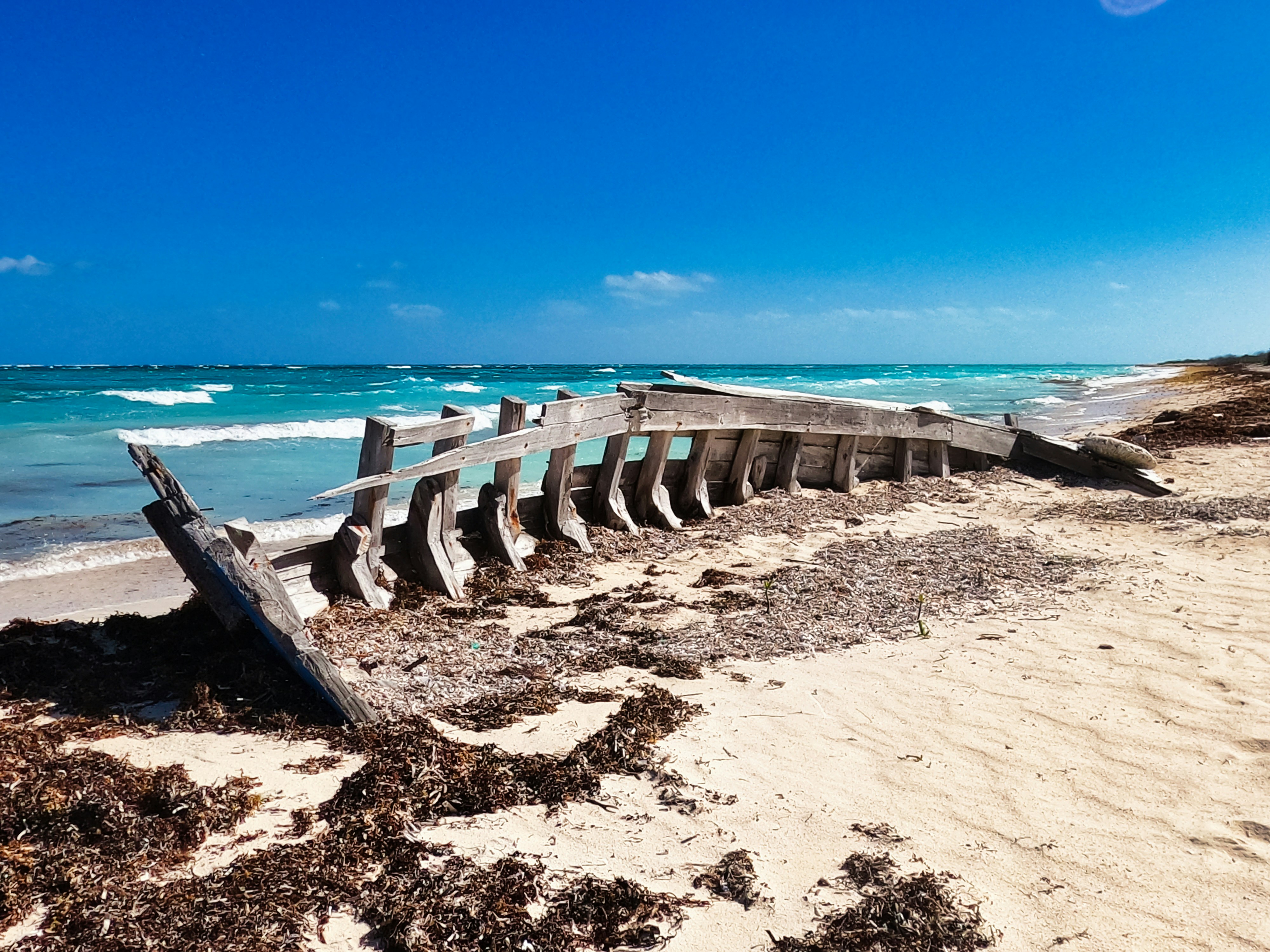 Shipwreck skeleton on a sandy beach with ocean waves.