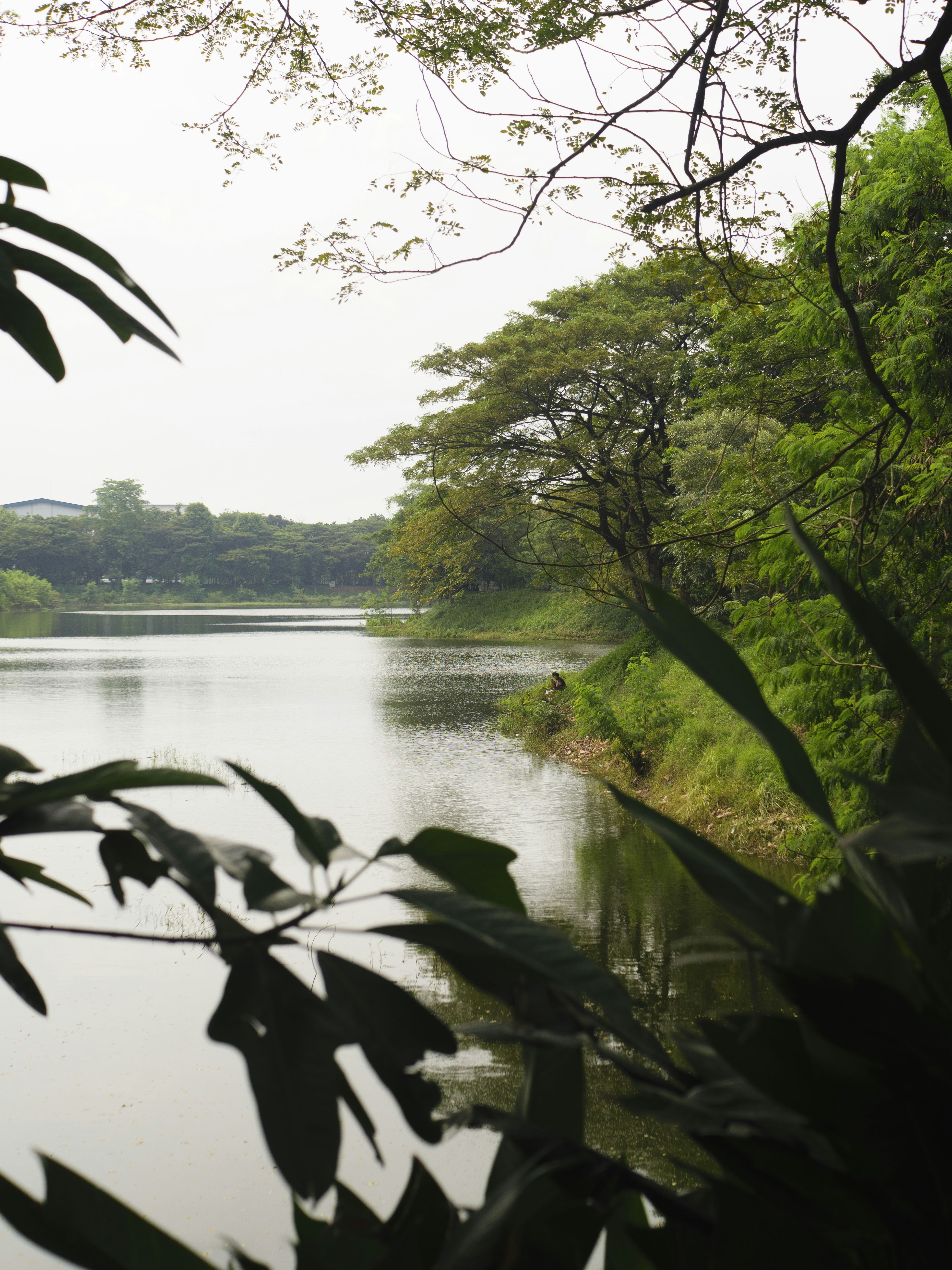Calm lake surrounded by lush green trees and foliage.