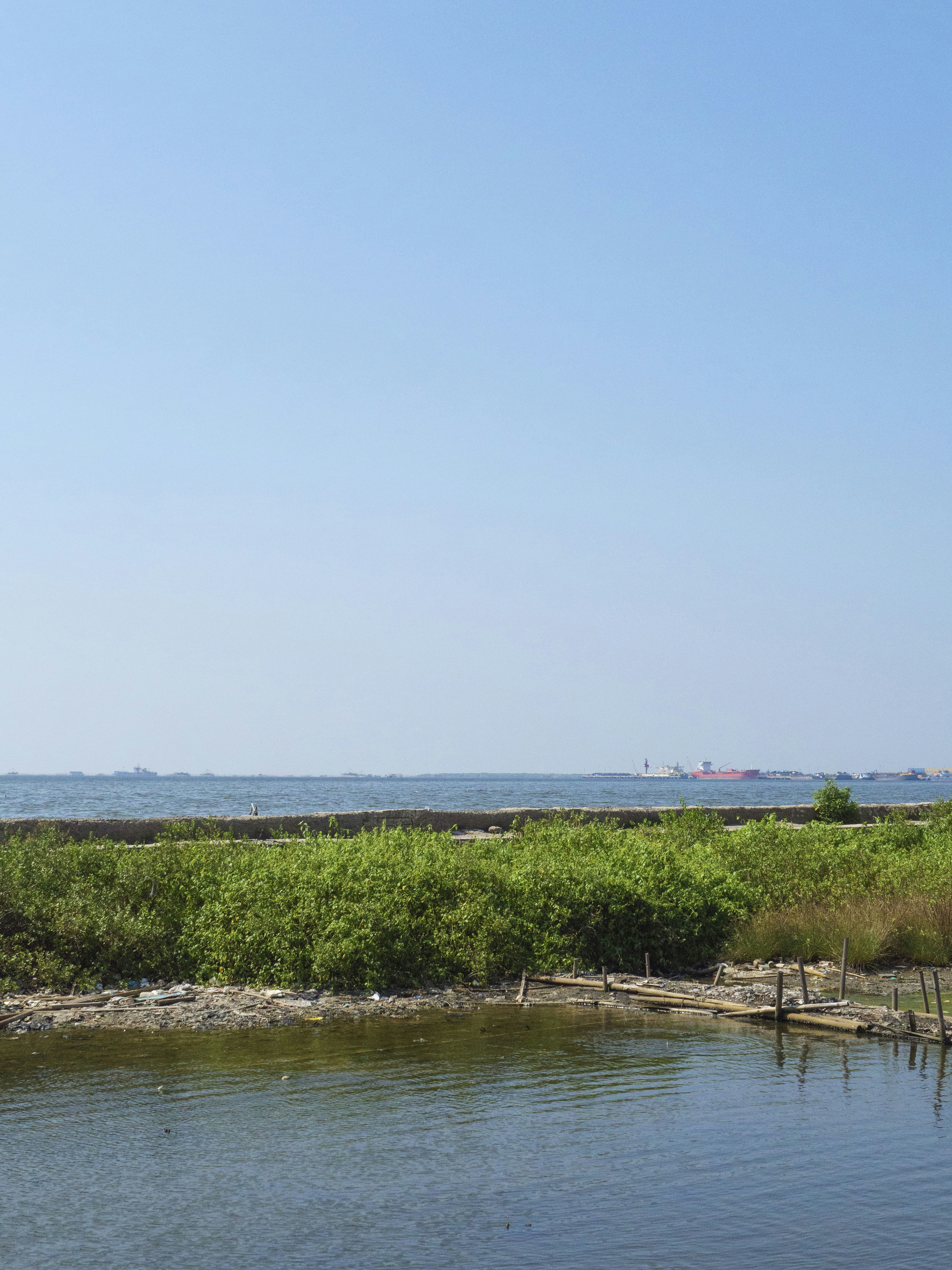 Calm ocean under a clear blue sky with green shore.