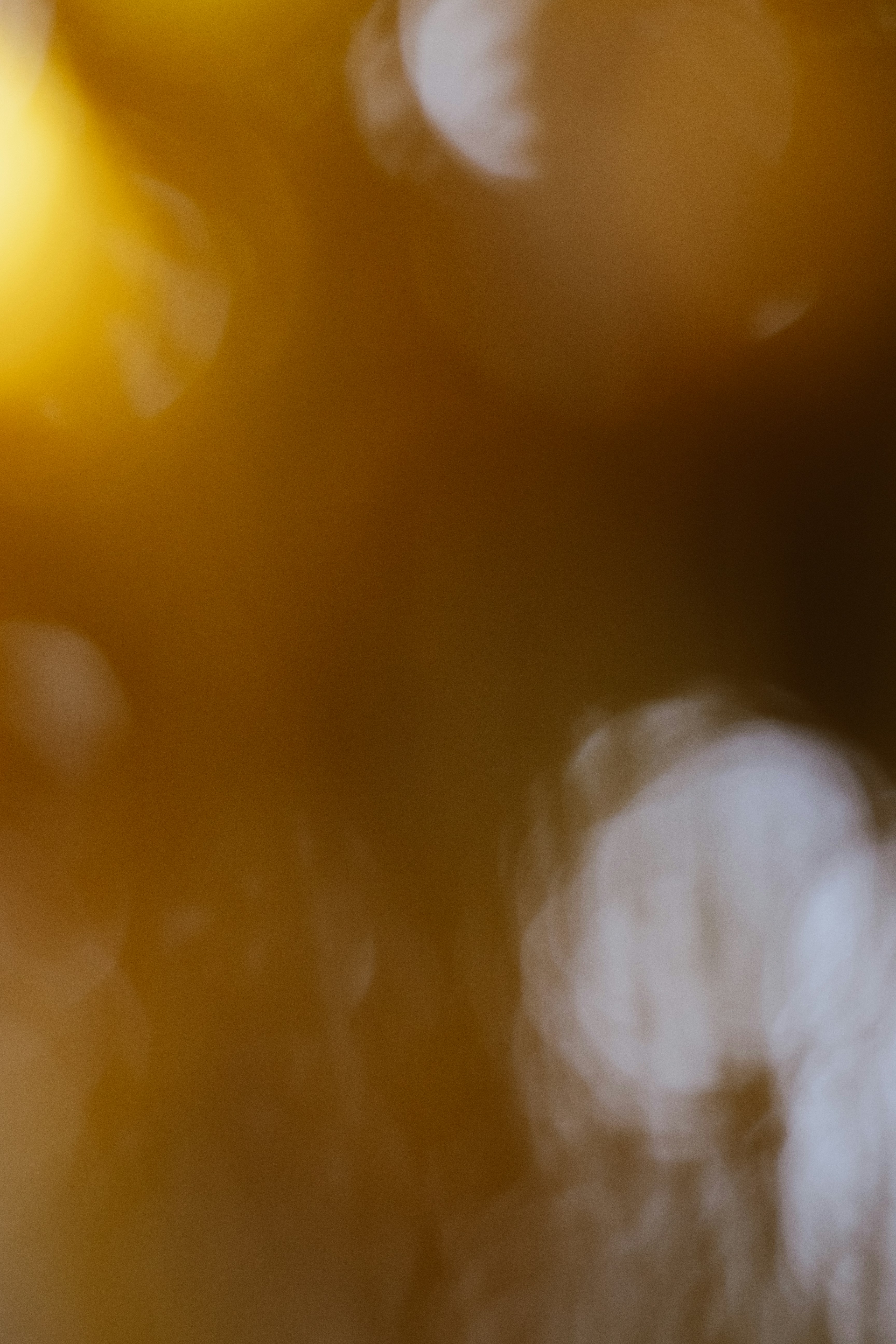 opalite 16 | Golden light bokeh with blurred background