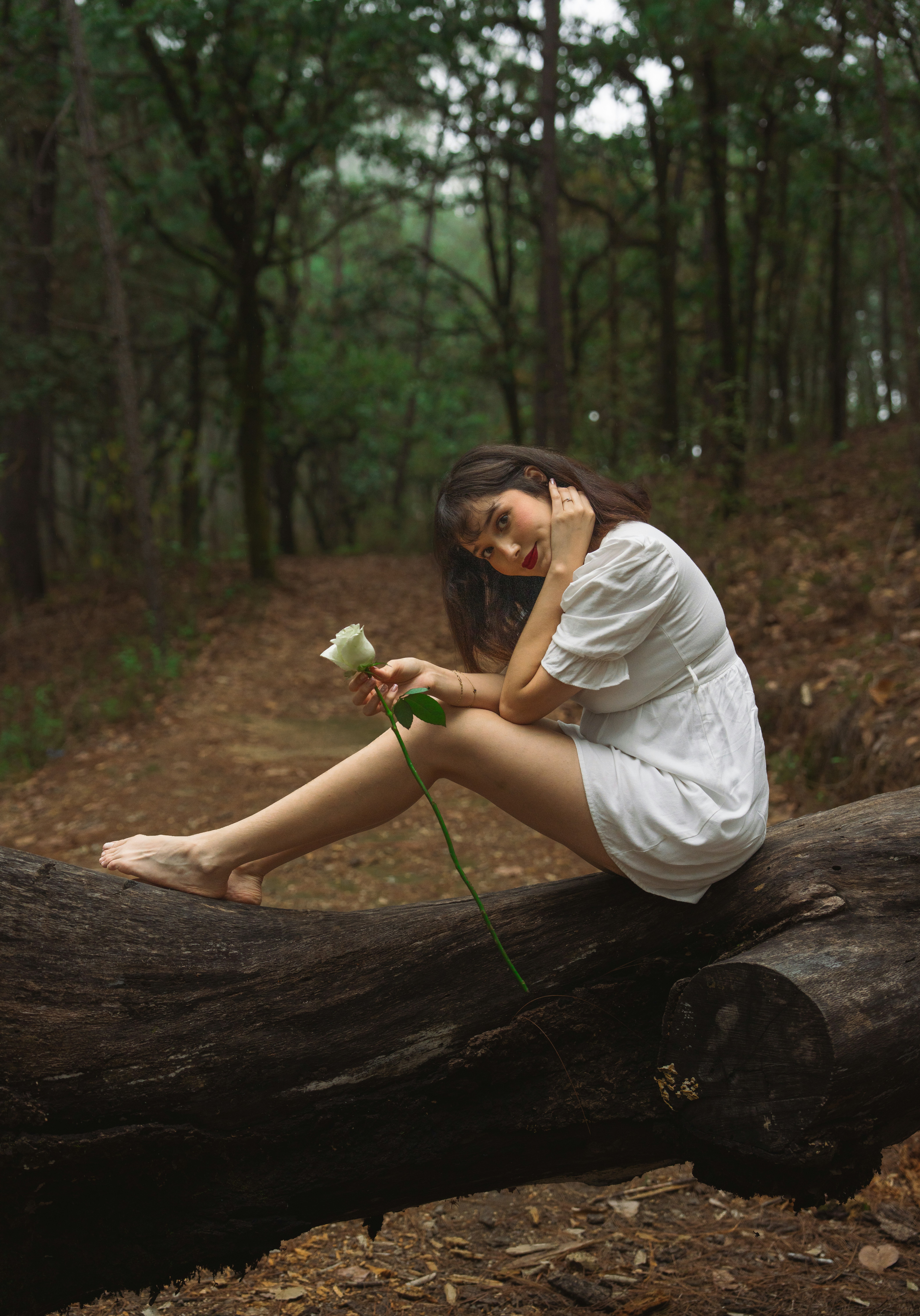 Woman in white dress holding white rose on fallen tree