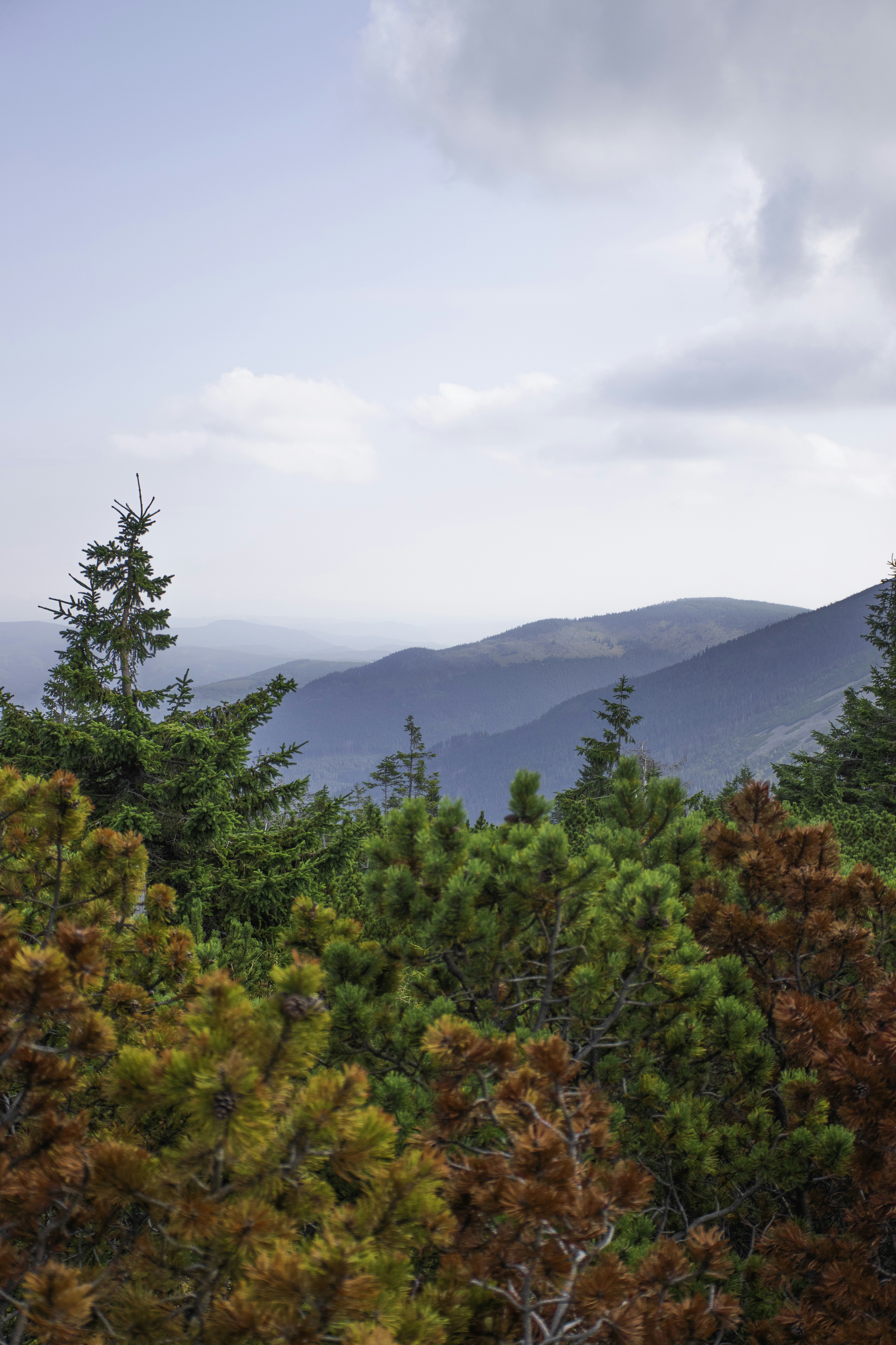 Whispers of the Mountain Range