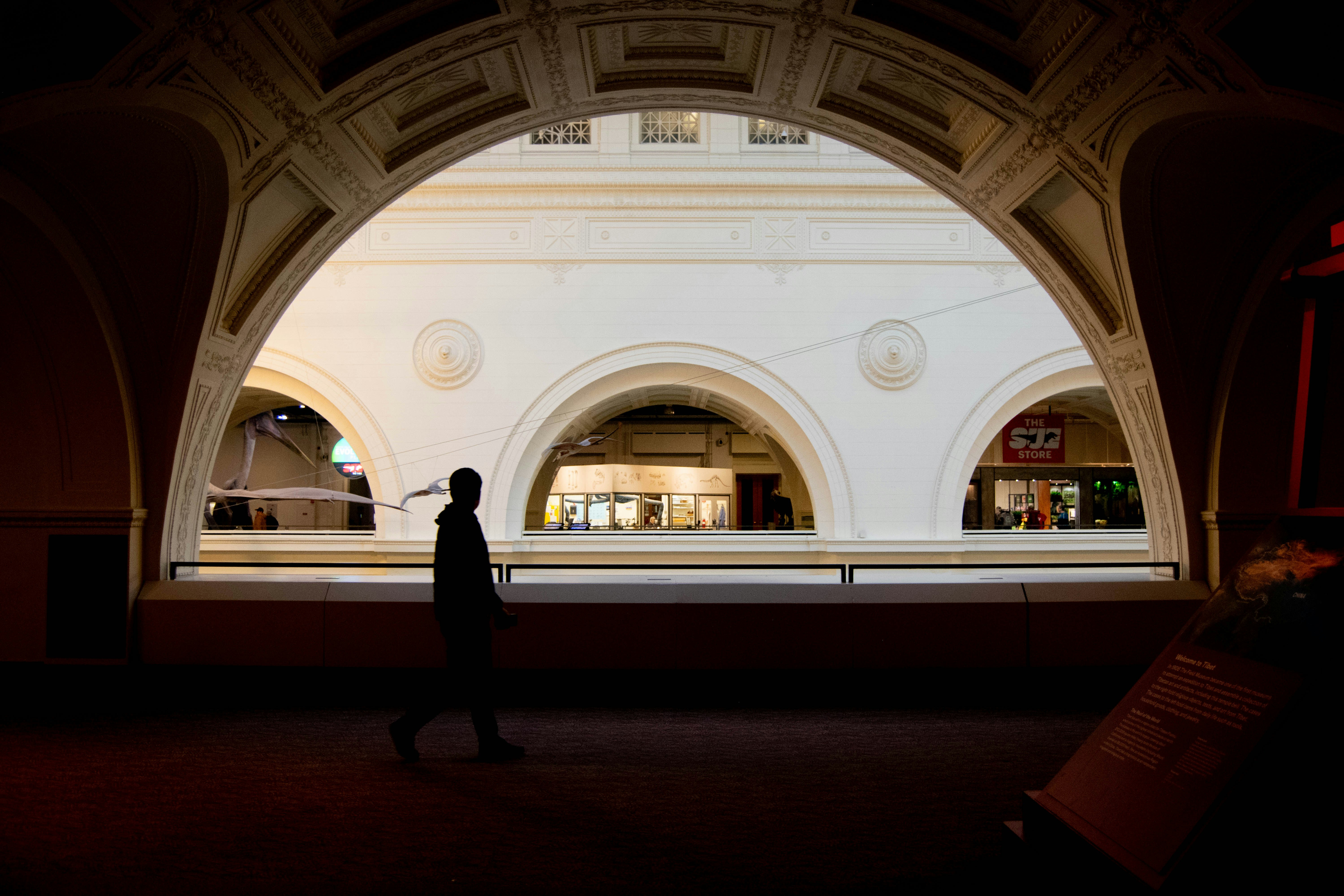 Silhouette in Architectural Embrace