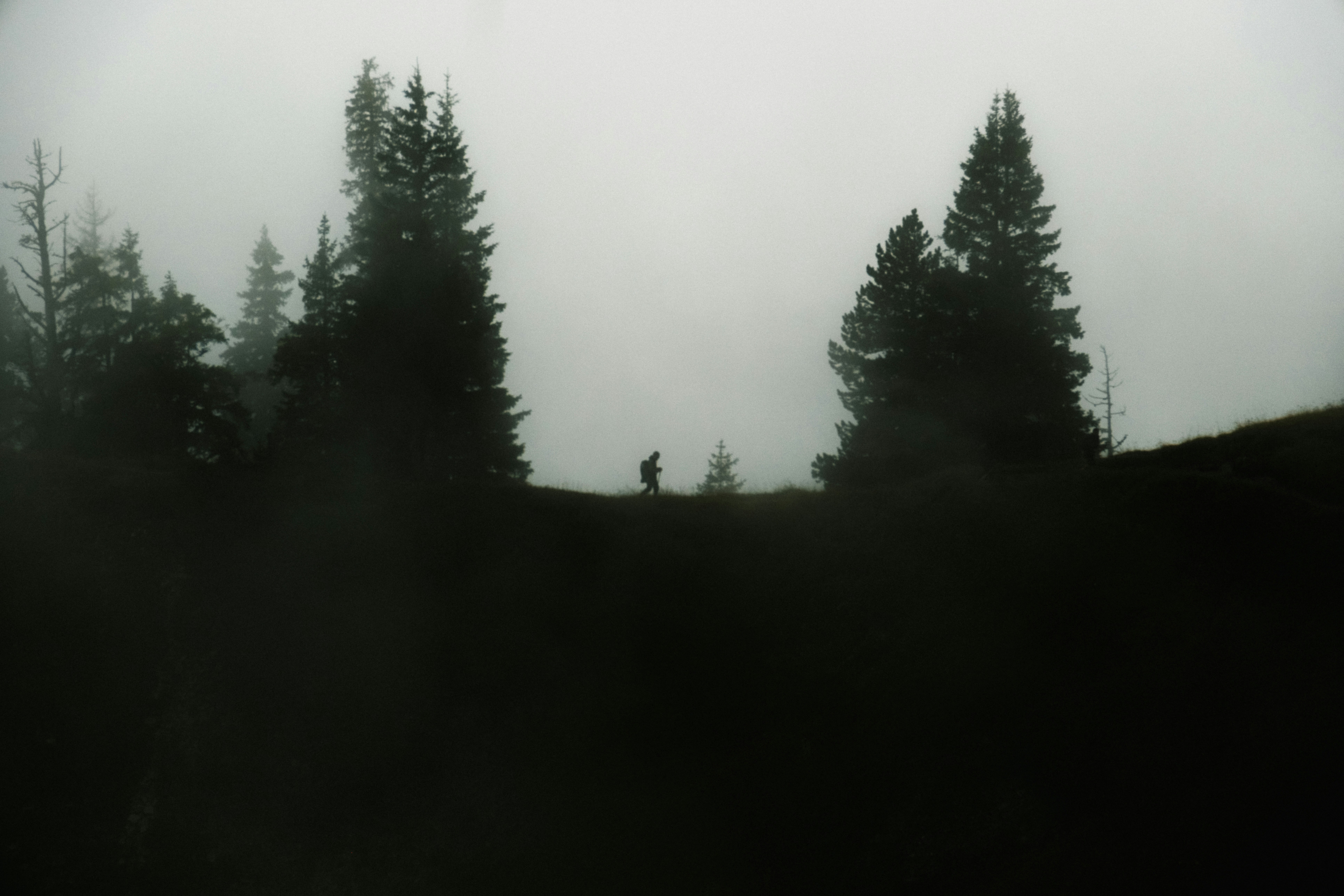 A lone figure walks on a misty forest ridge.