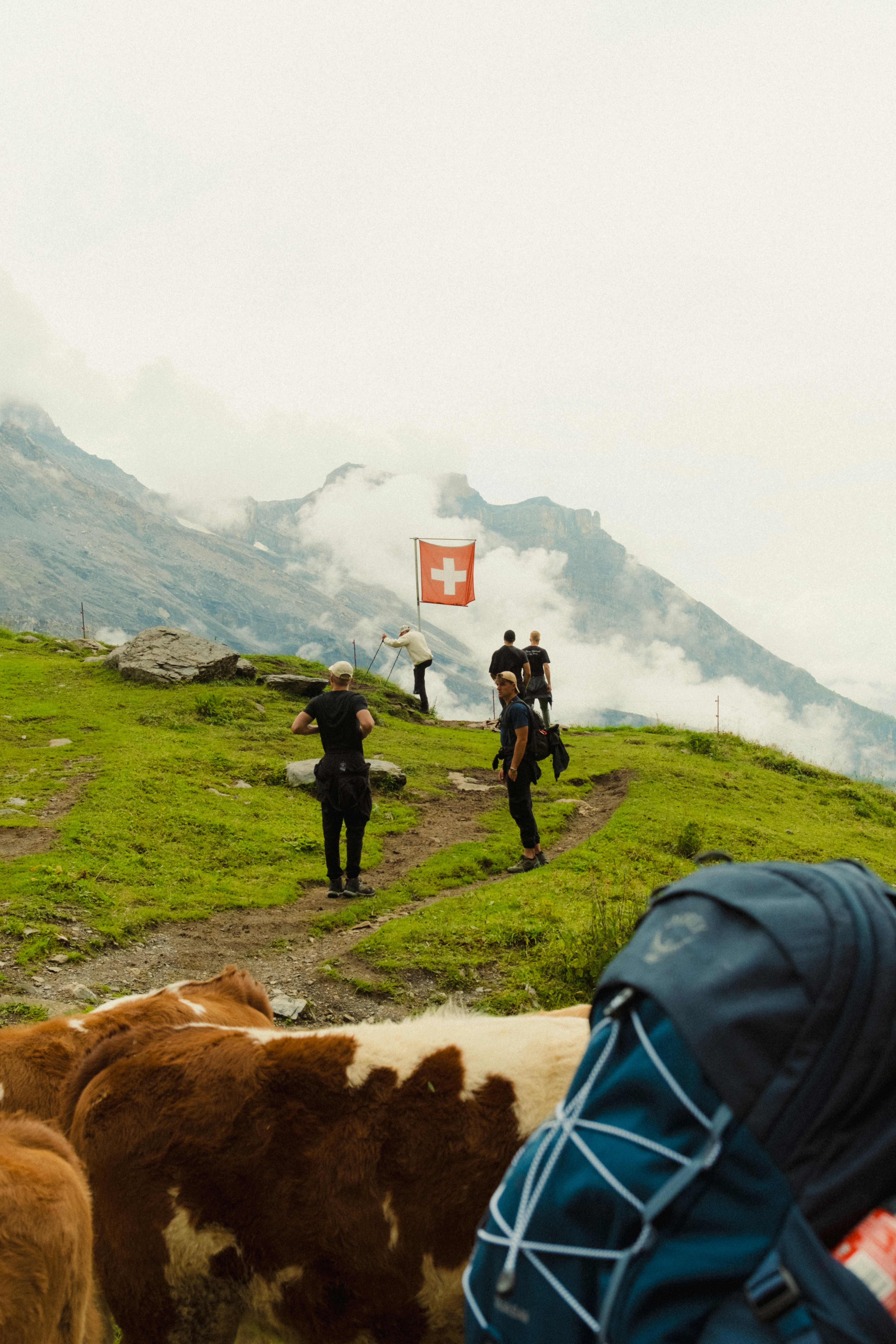 Waving the Swiss Standard in Alpine Serenity