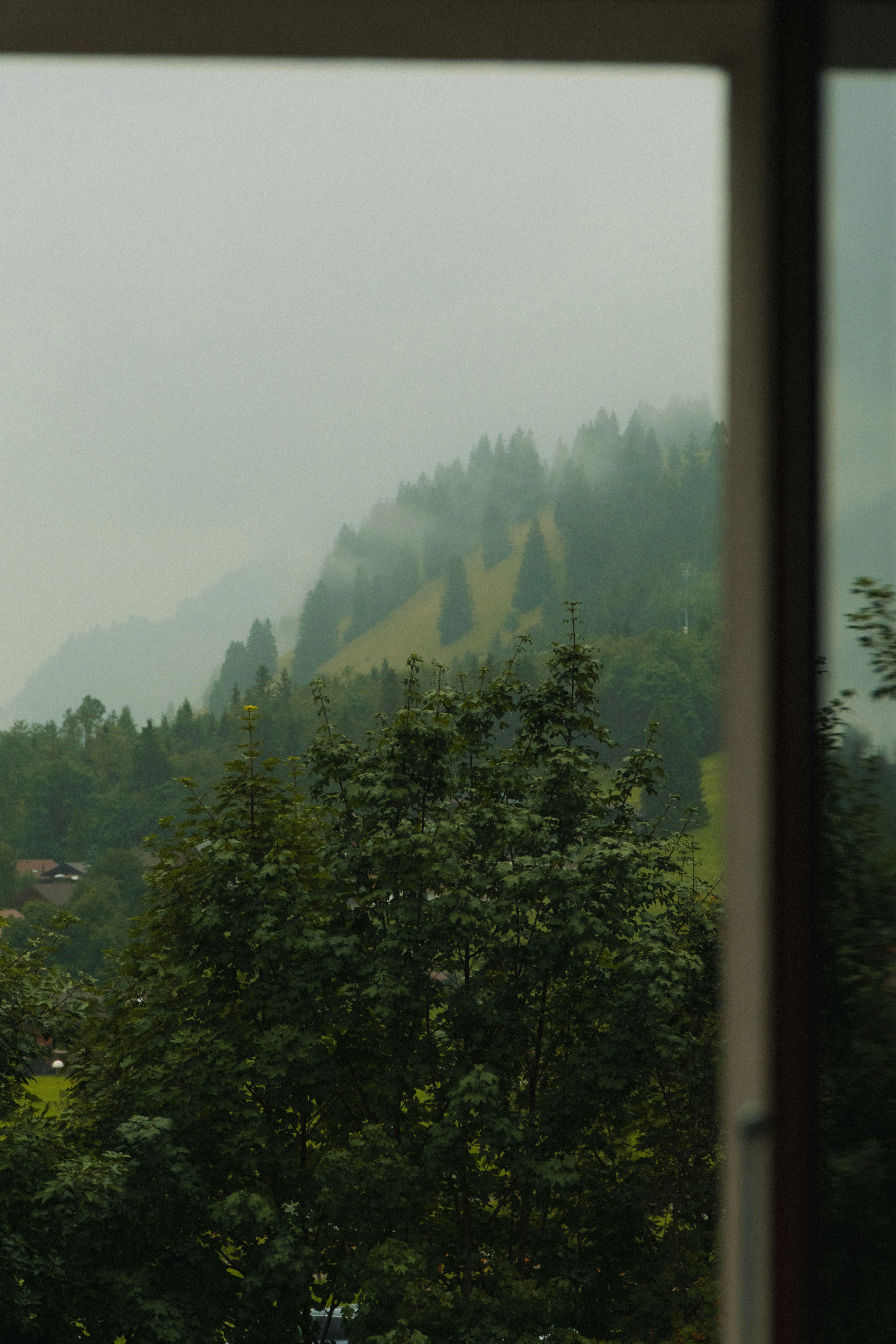 Whispers of the Misty Mountains