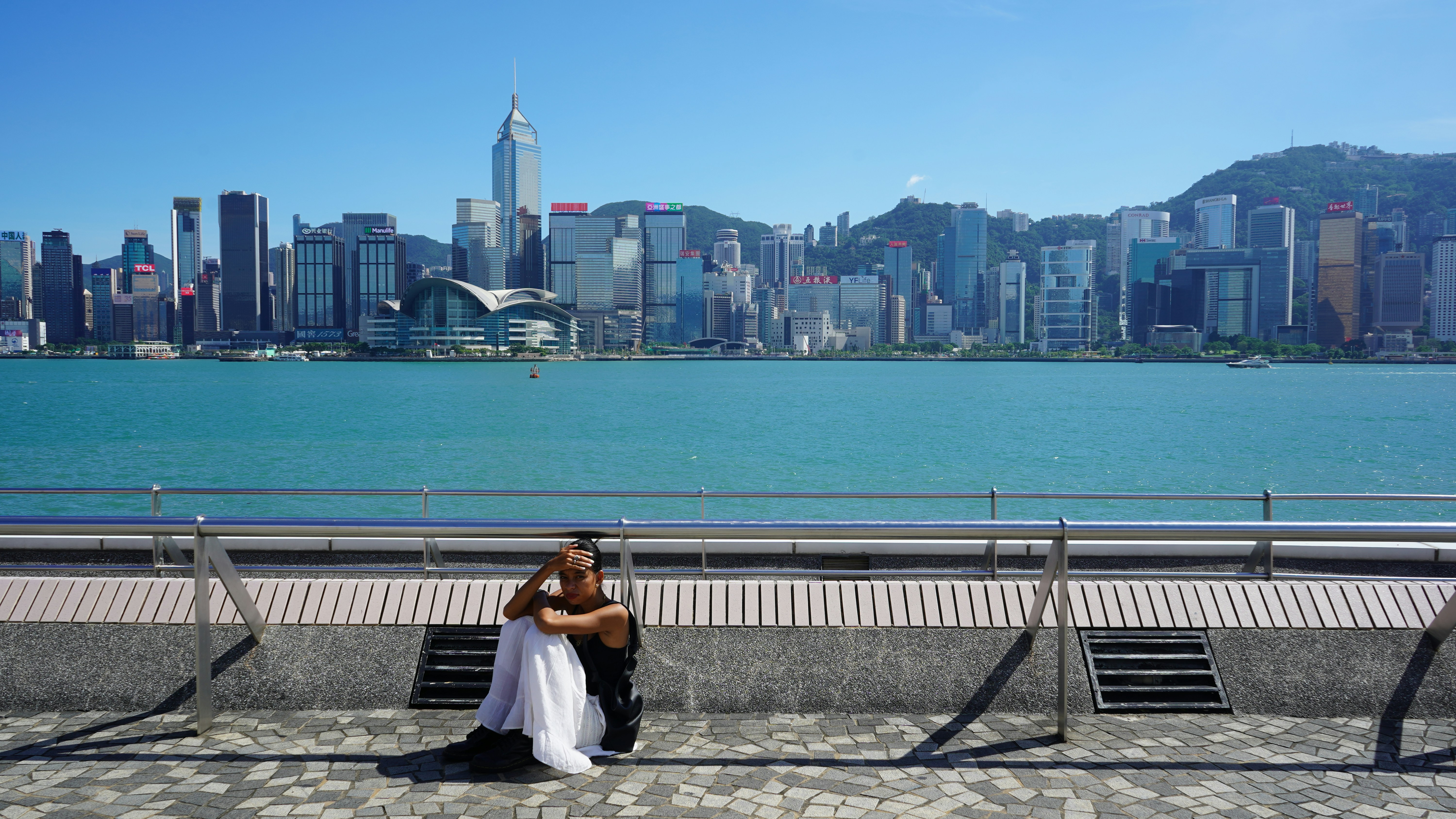 Urban Serenity: A Moment Amidst the Skyline