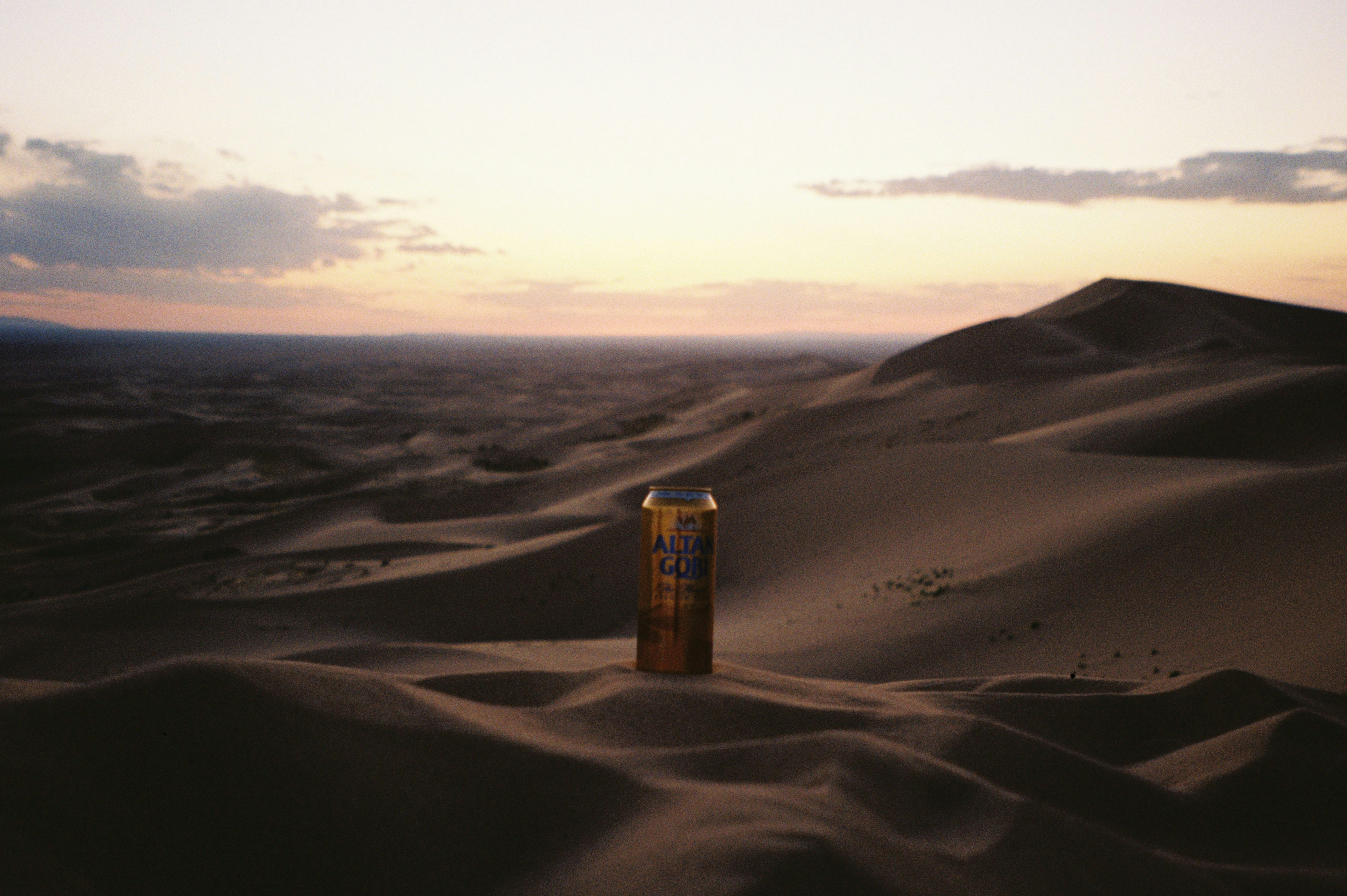 Desert Oasis: A Can Amidst the Sands