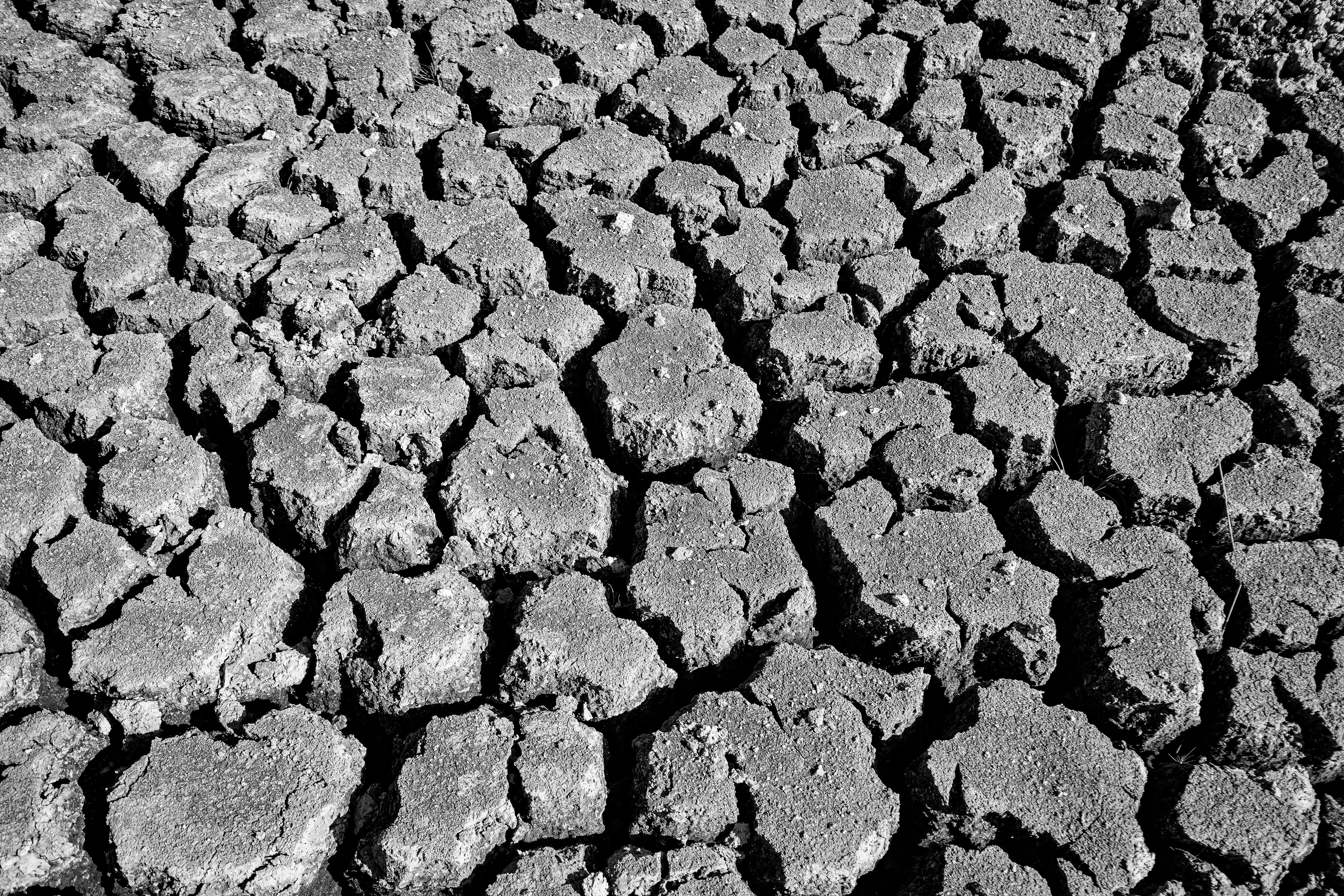 Cracked dry earth texture in black and white