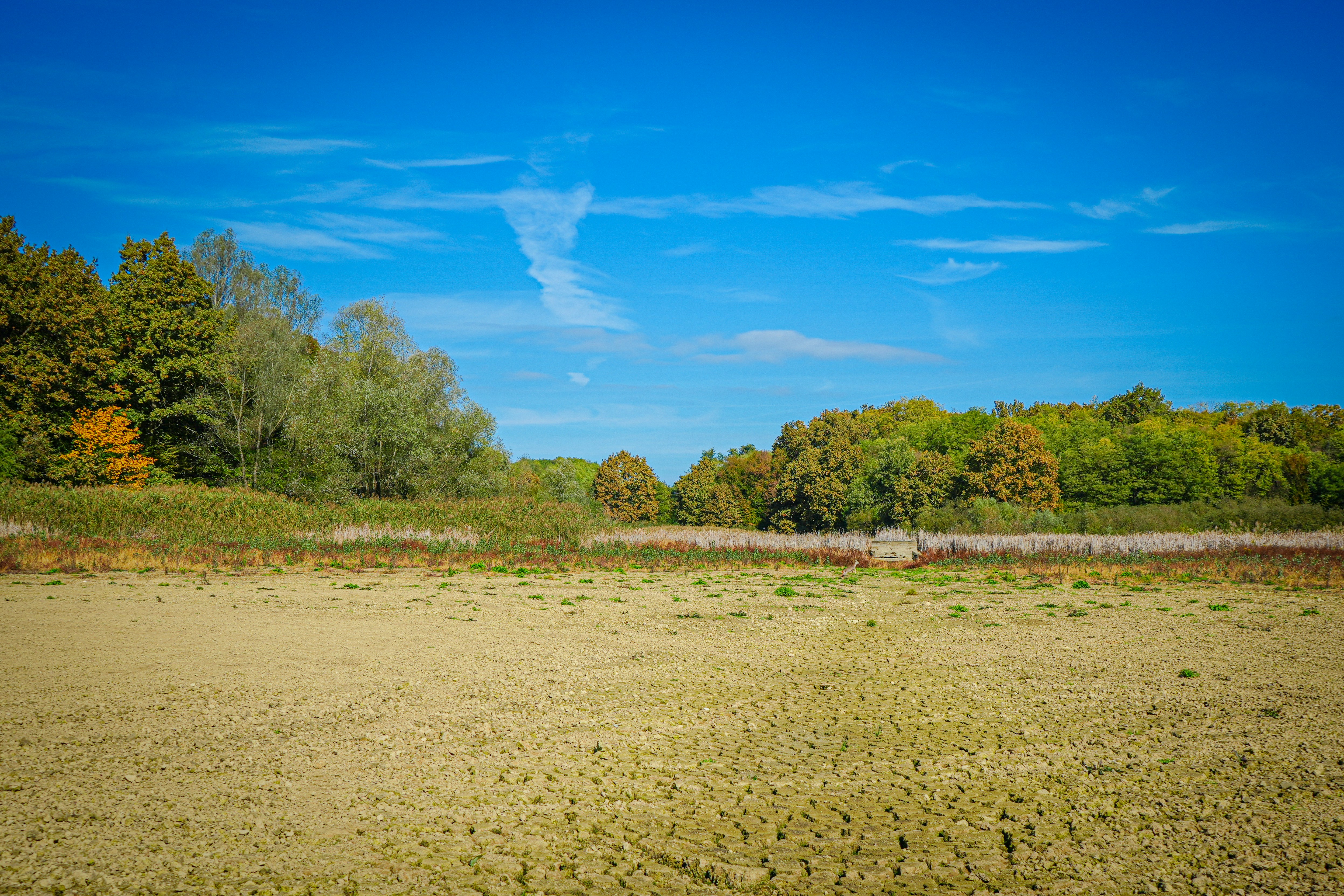 Dry, cracked earth stretches across the foreground, framed by vibrant autumn foliage and a clear blue sky.