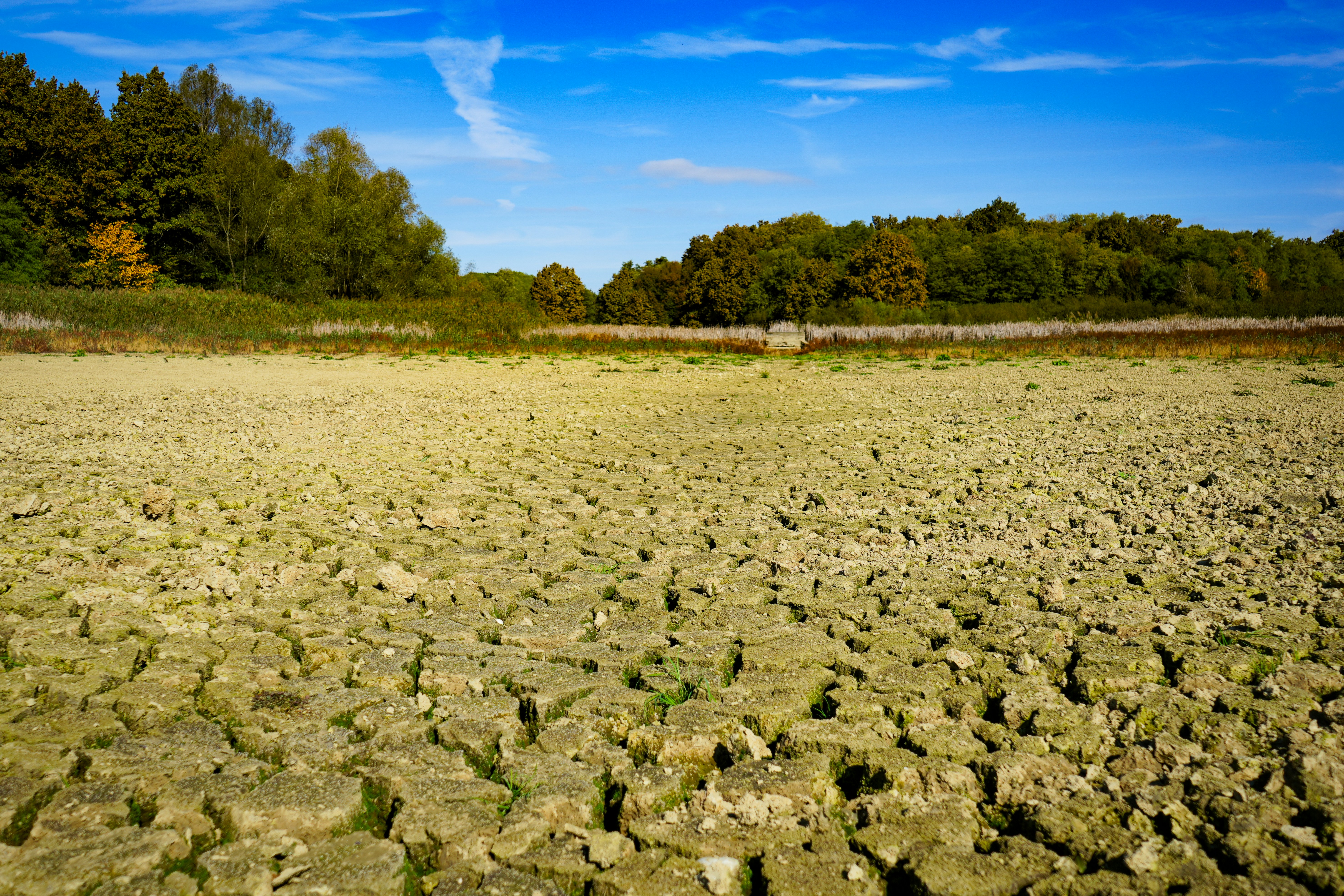 Cracked dry earth under a blue sky.