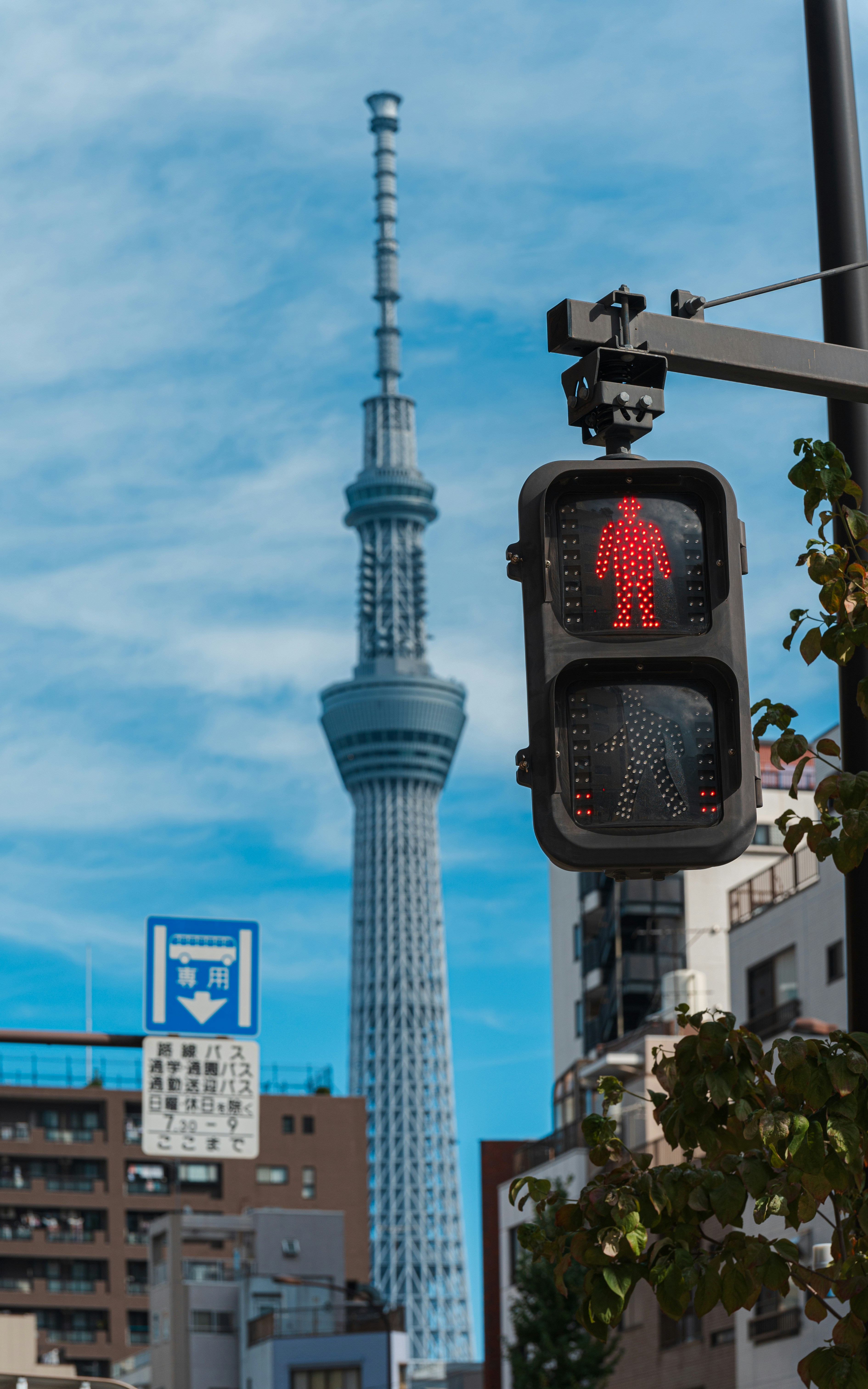 Urban Signals: A Stroll Towards the Skytree