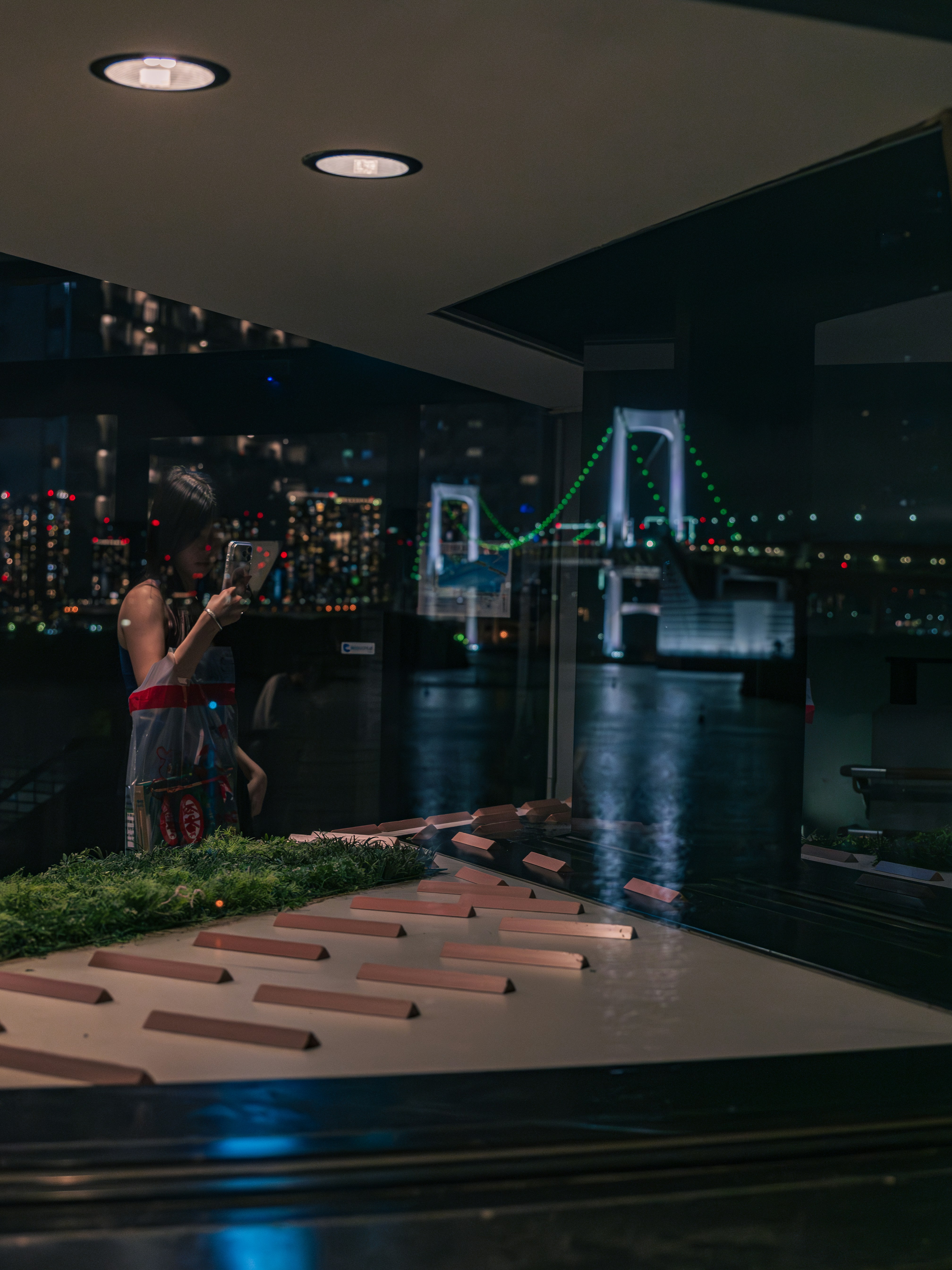Neon Reflections: A Nighttime Scene Through Glass
