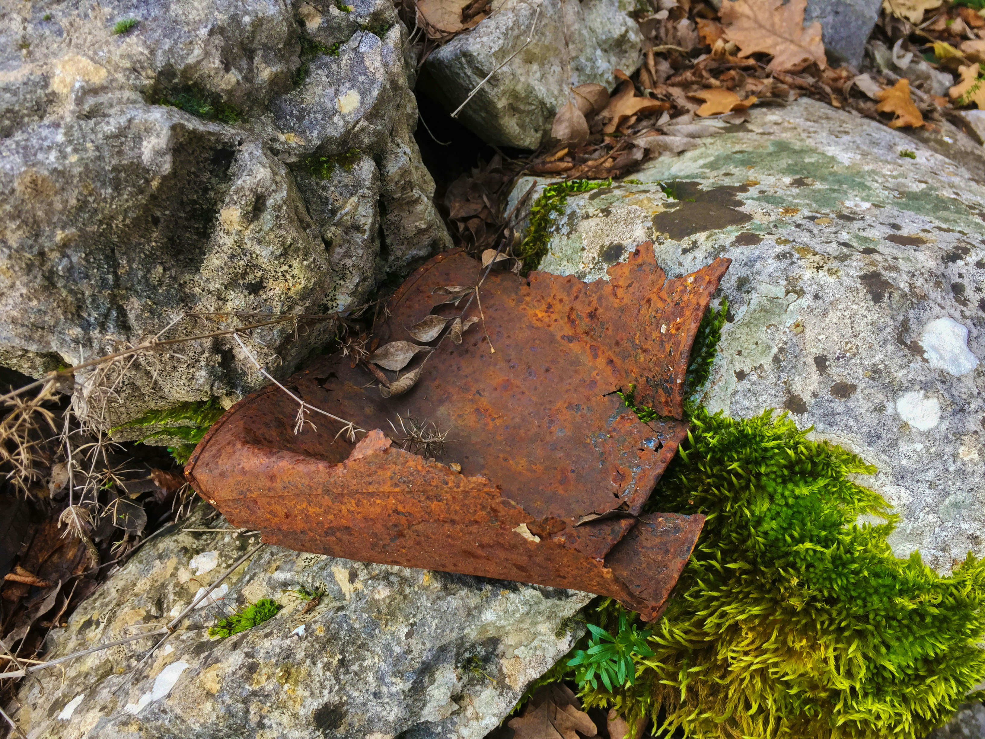 Rusty metal fragment on mossy rocks