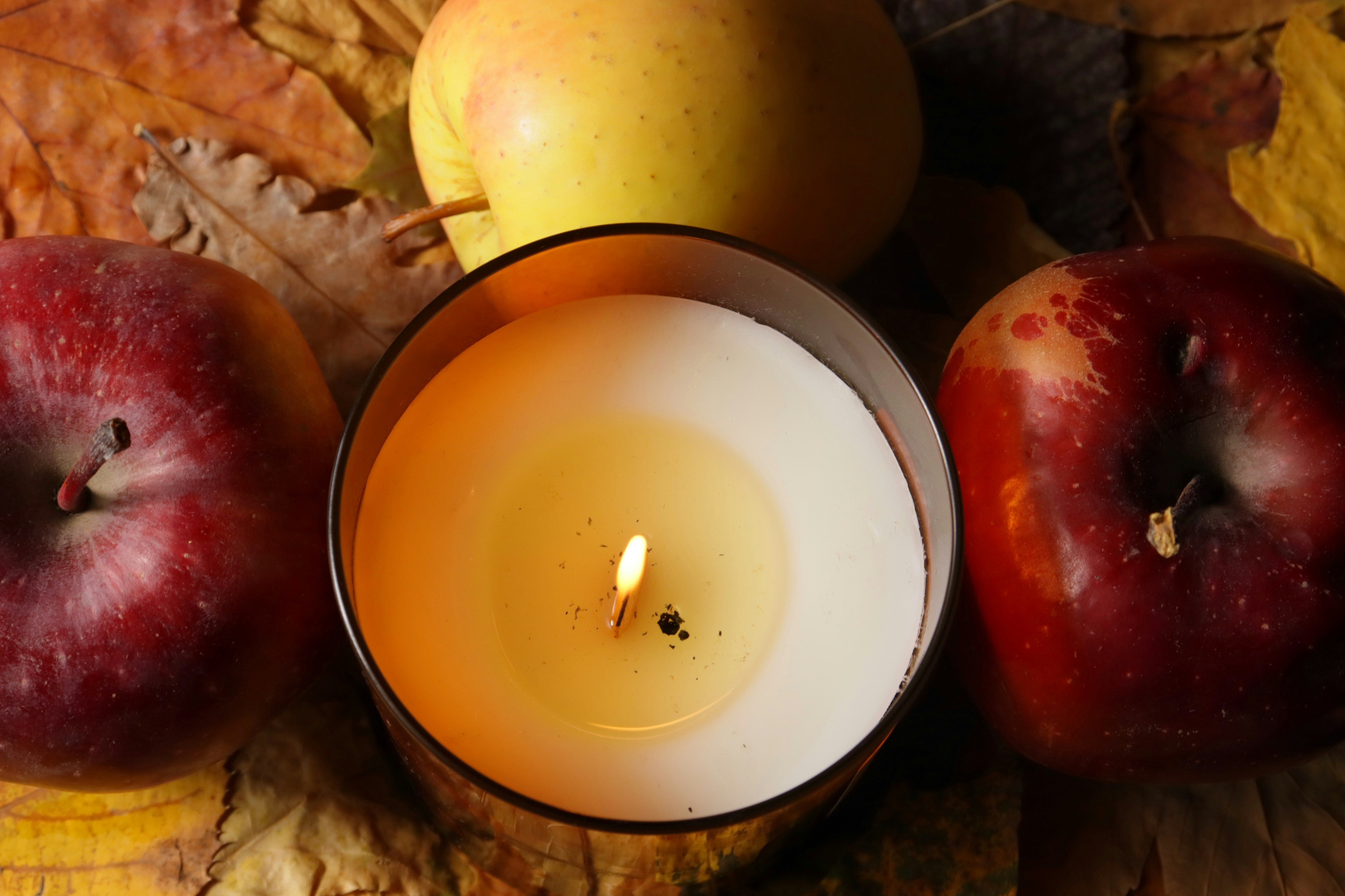 Autumn's Warm Embrace: A Cozy Still Life