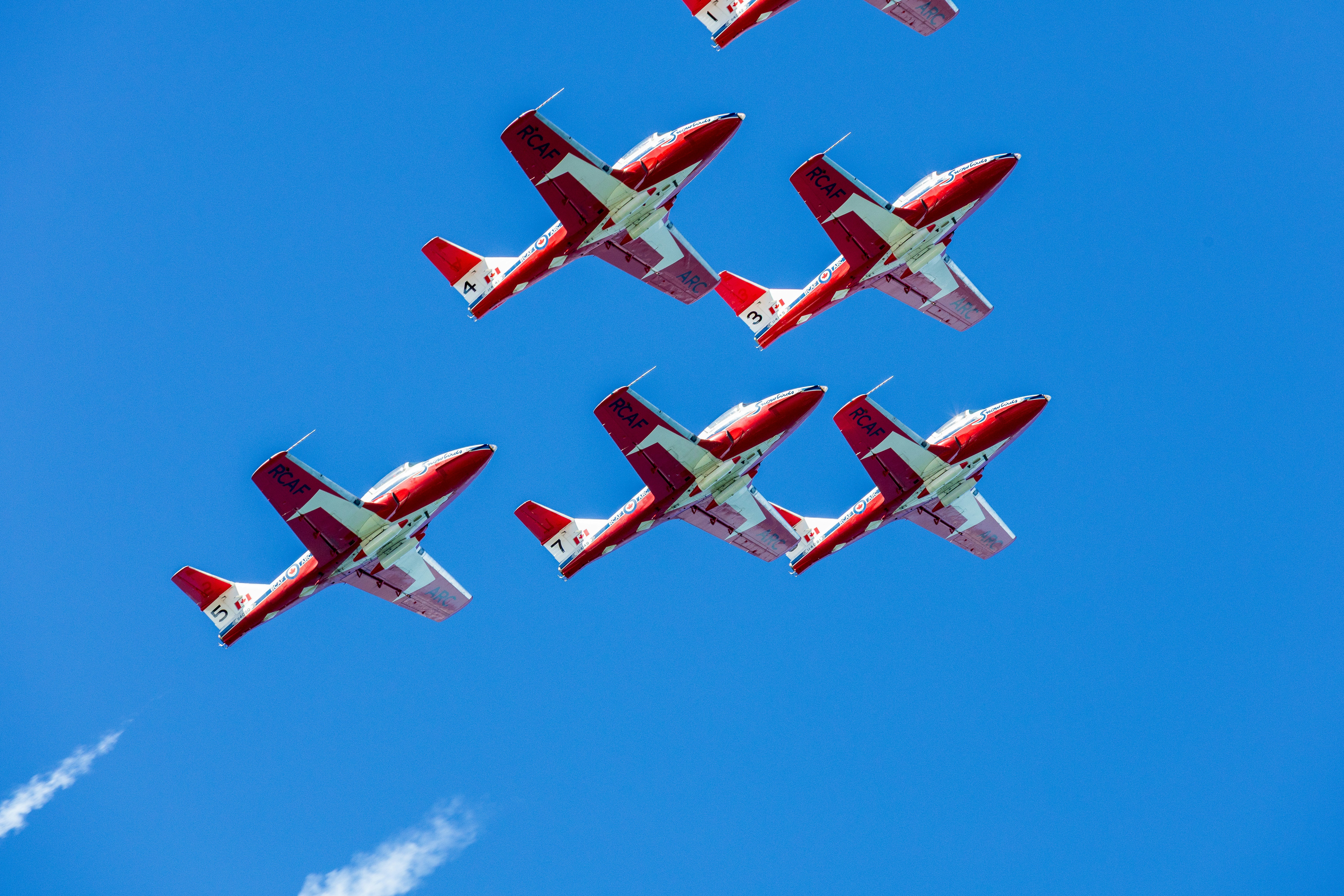 Aerial Ballet: Precision in Flight