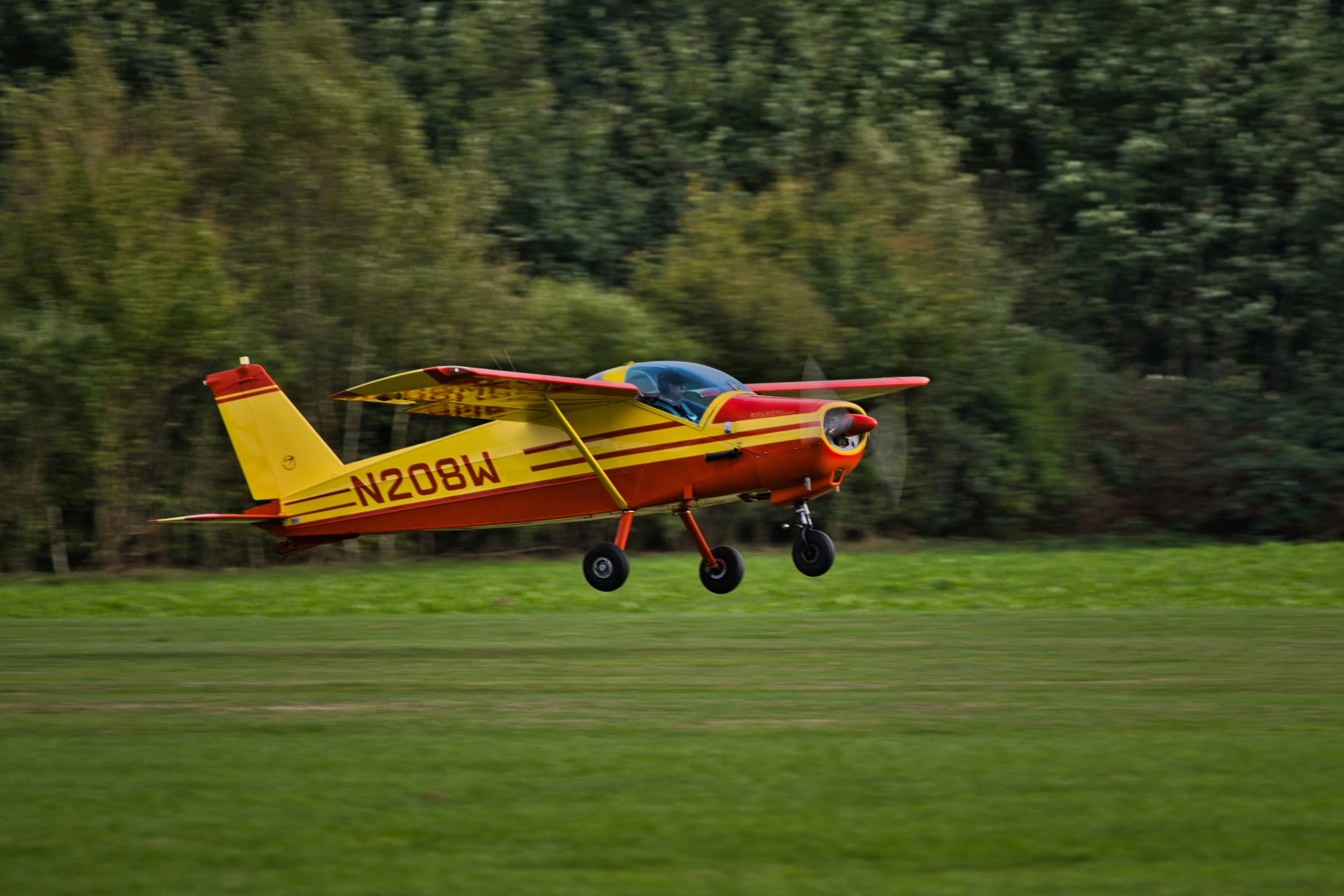 Aerial Ascent: The Dance of Flight