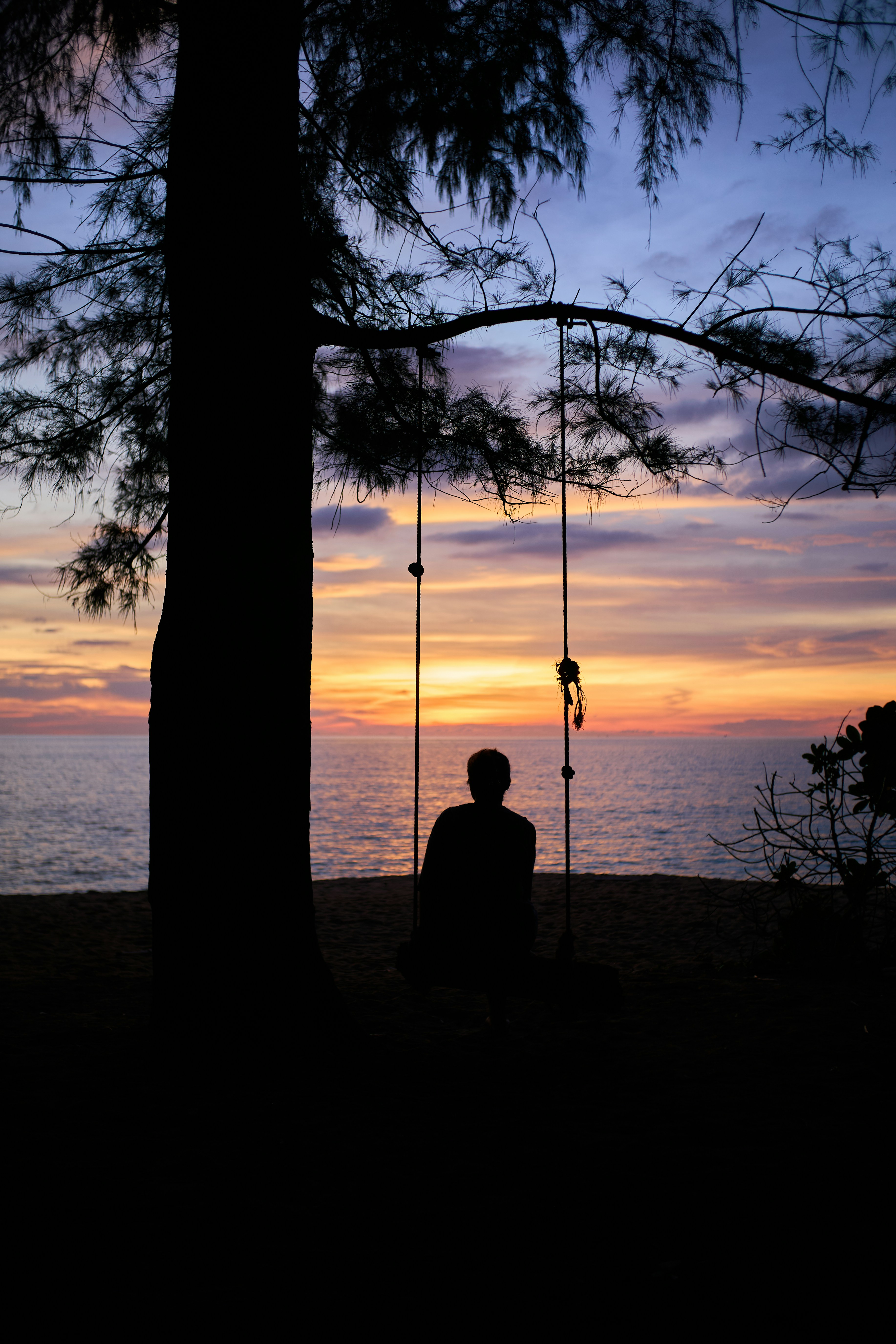Dusk on the Swing: A Contemplative Silhouette by the Sea