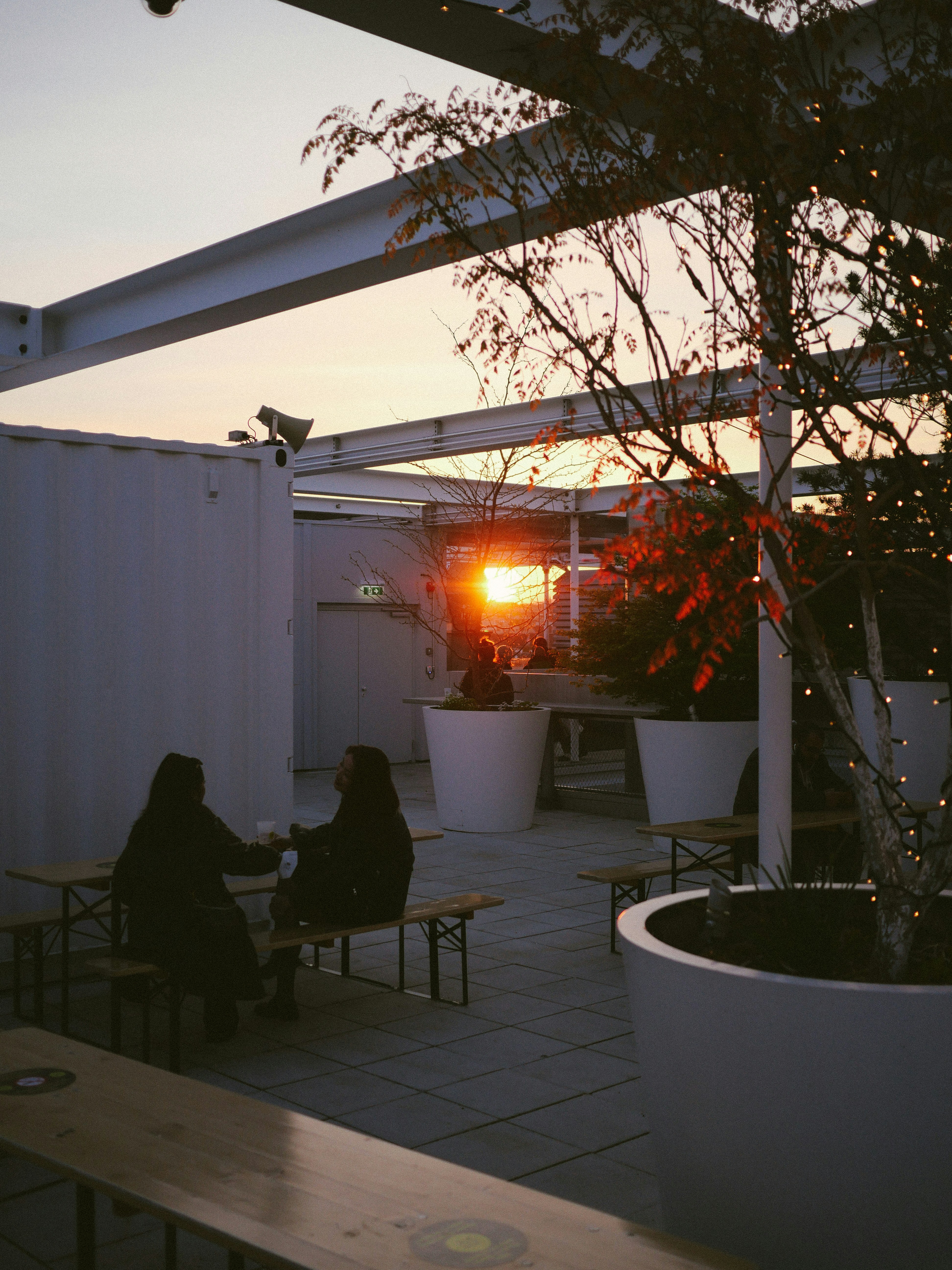 Evening Conversations Under the Setting Sun