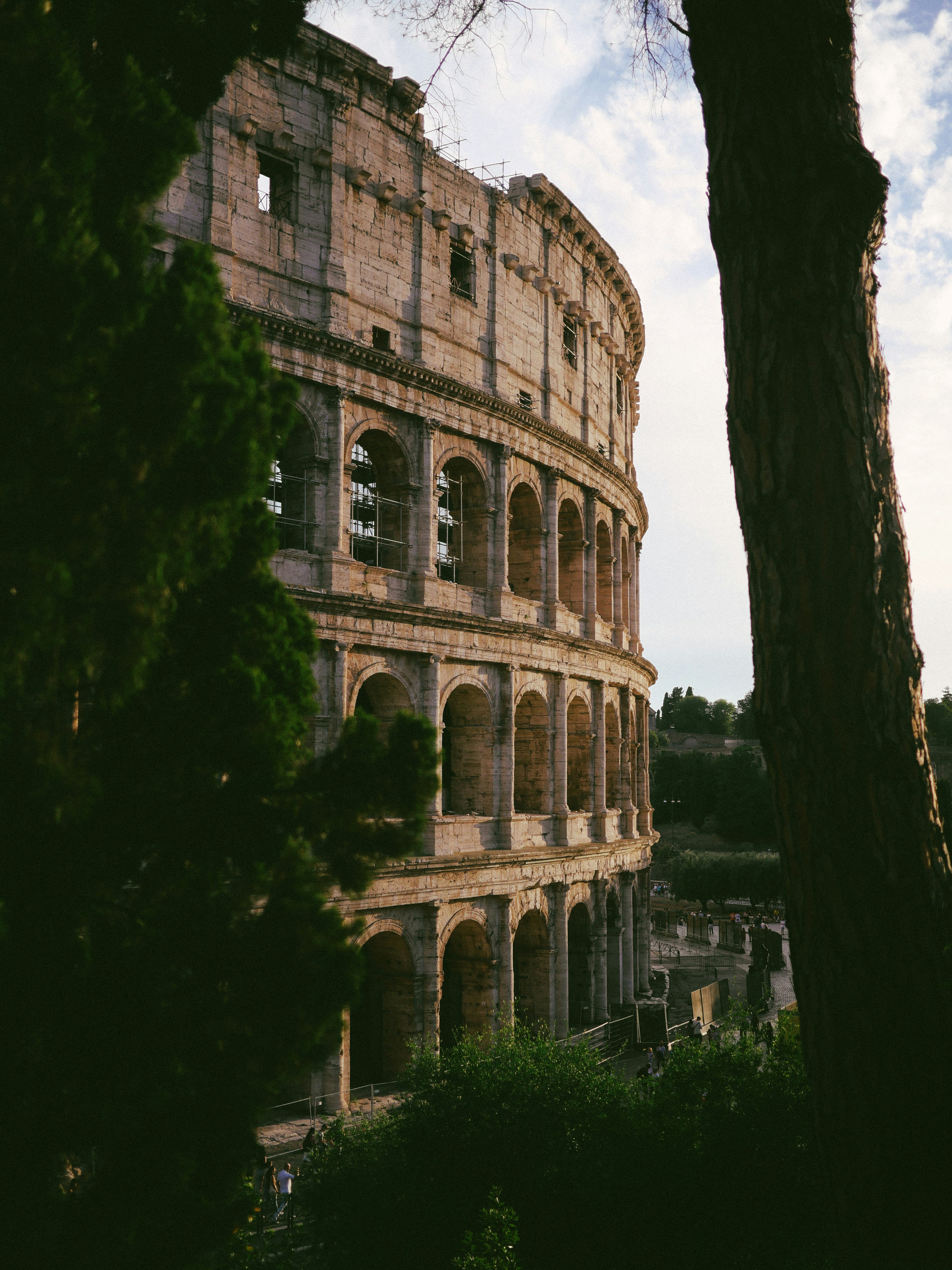 Whispers of Ancient Rome: The Colosseum's Timeless Elegance