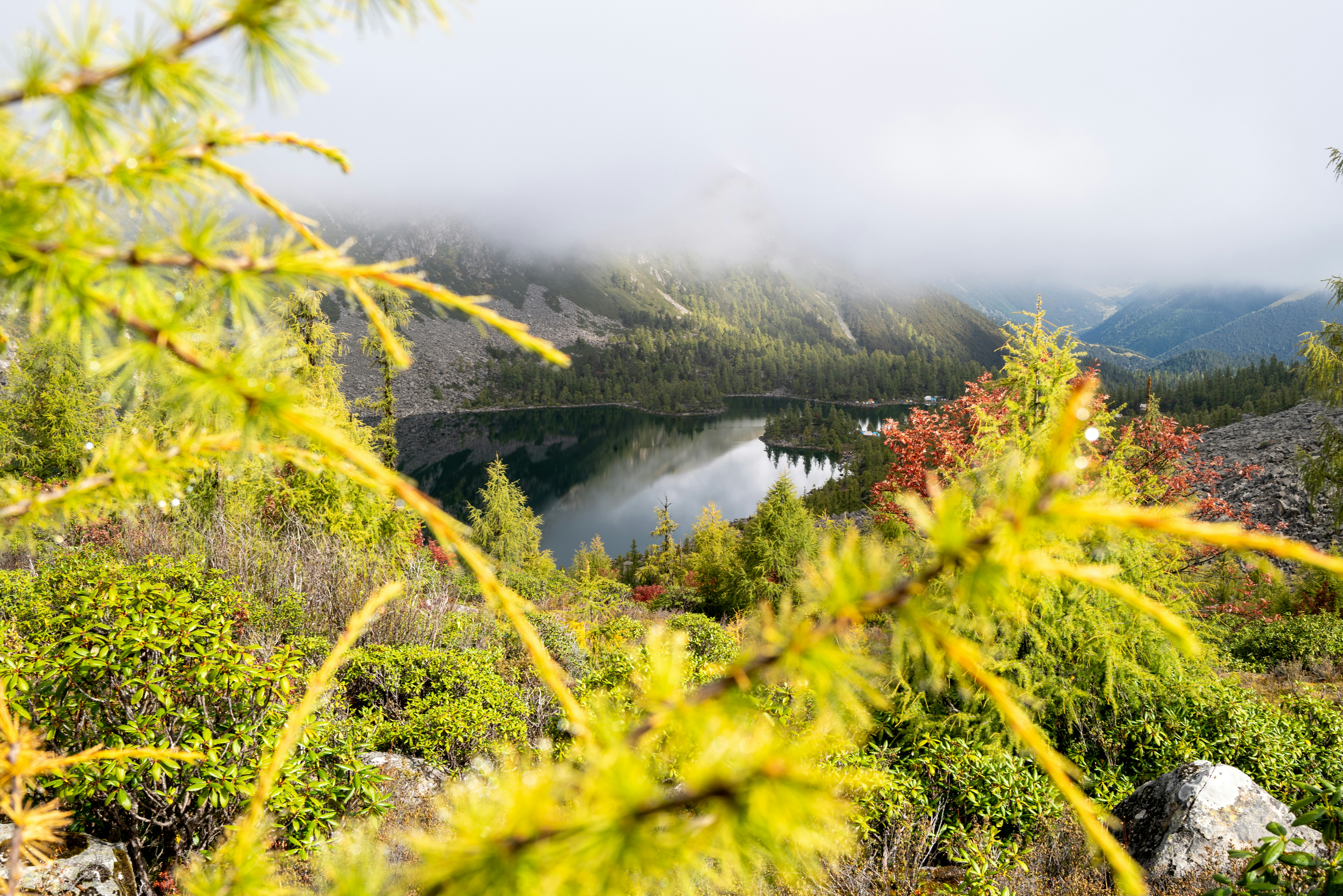 Whispers of the Misty Valley