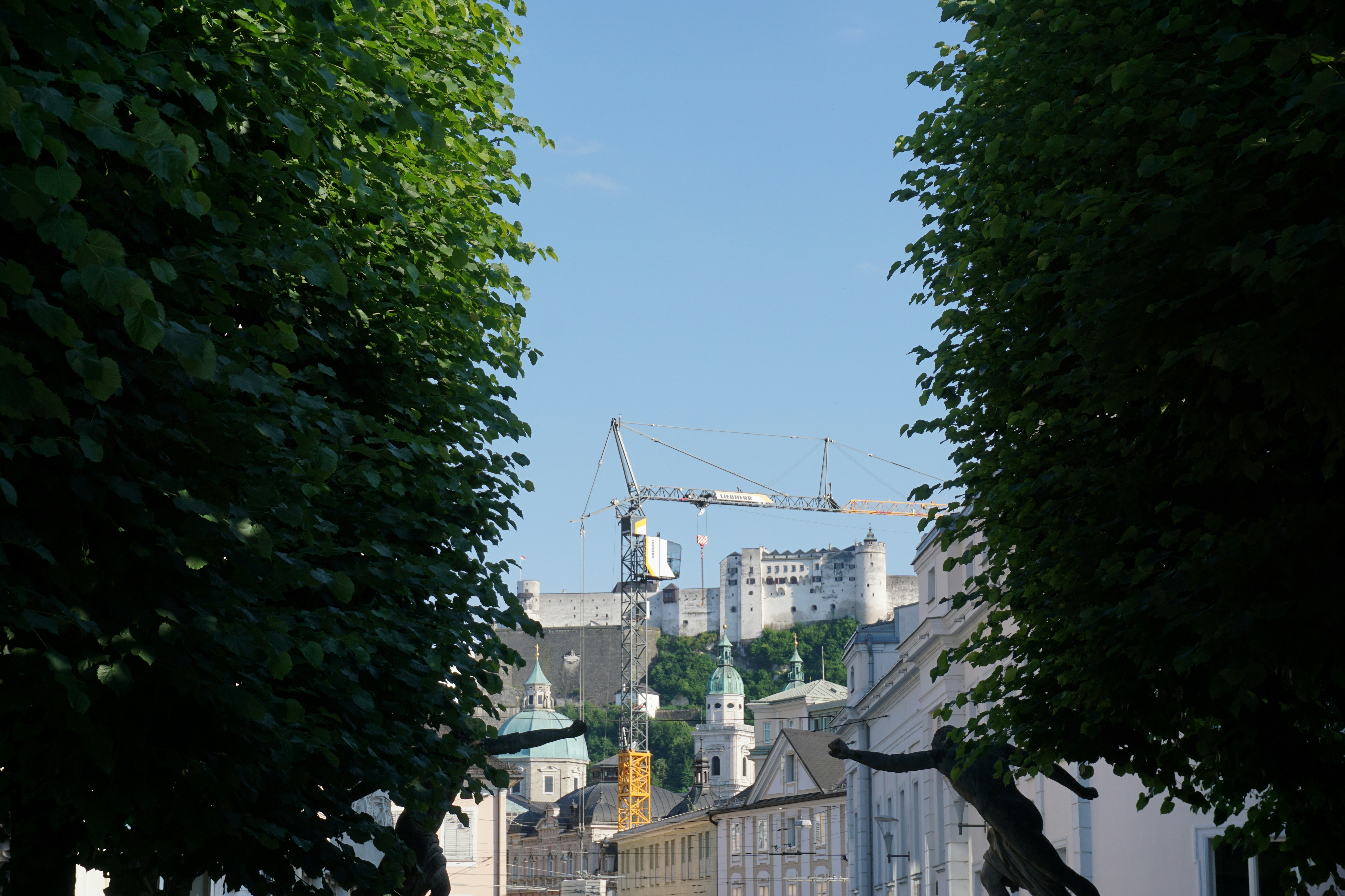 Crane Crest Over a Hilltop City Framed by a Tree-Lined Street