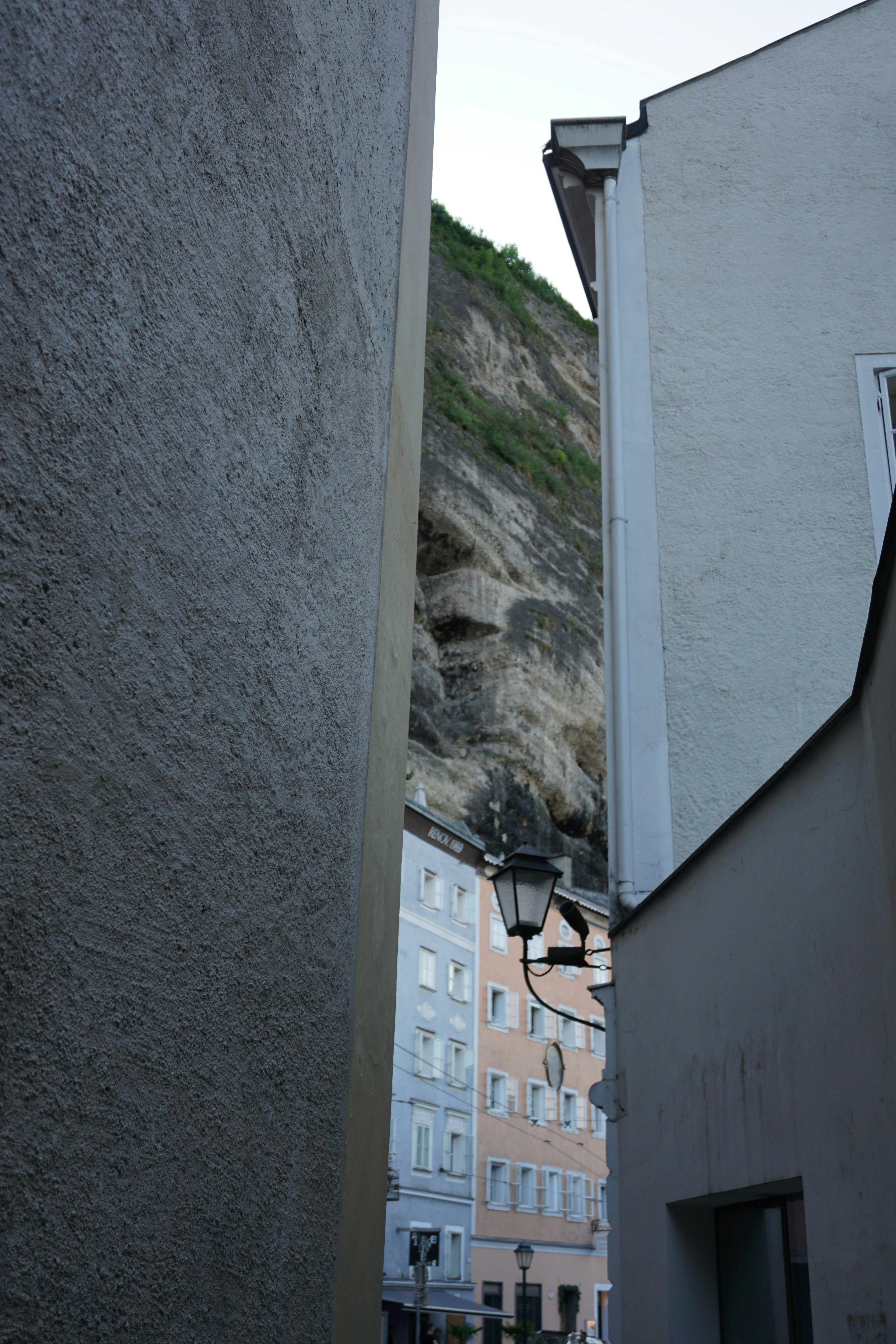 Urban Echoes: A Passageway Between Time and Nature
