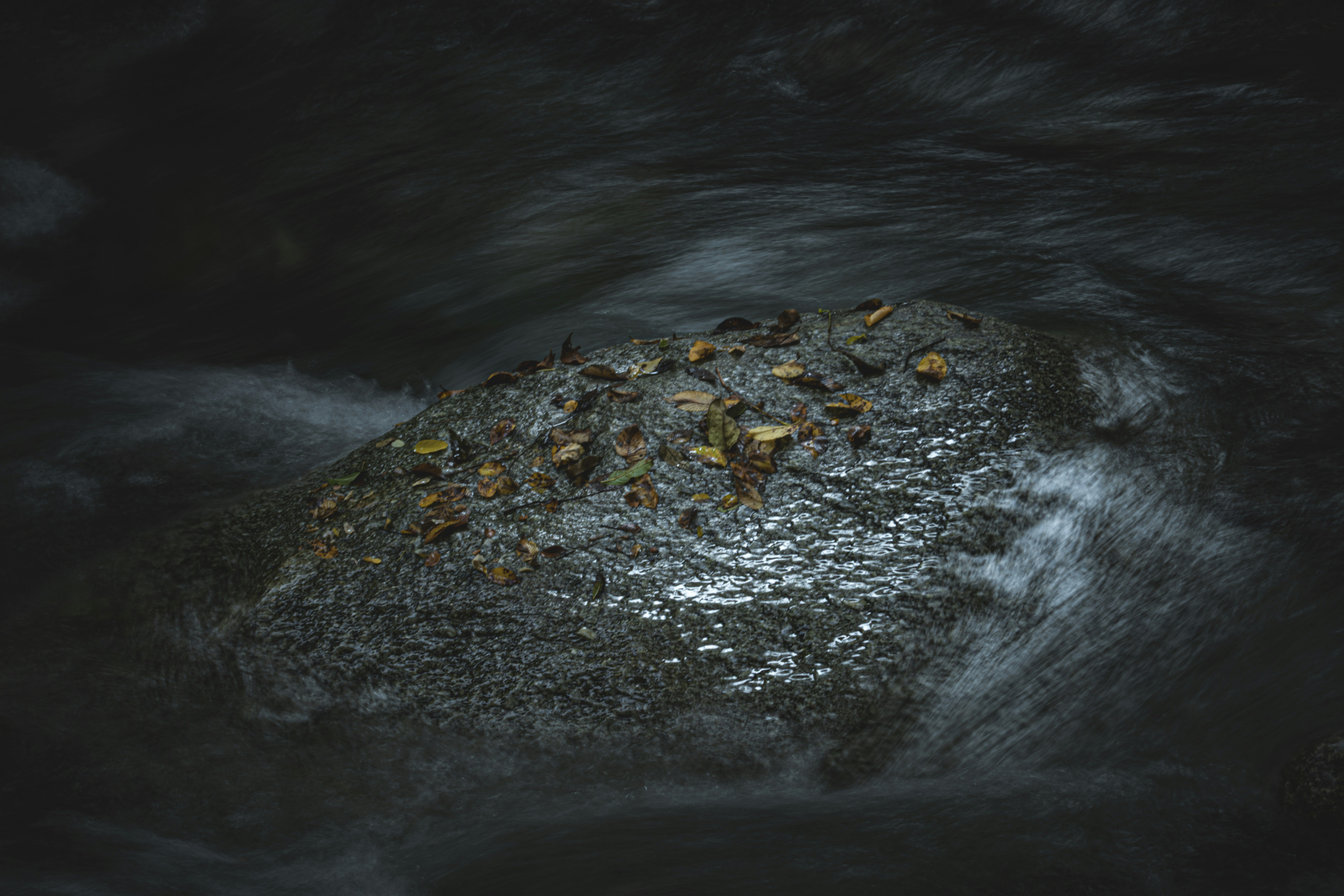 Whispers of Autumn on Water's Edge