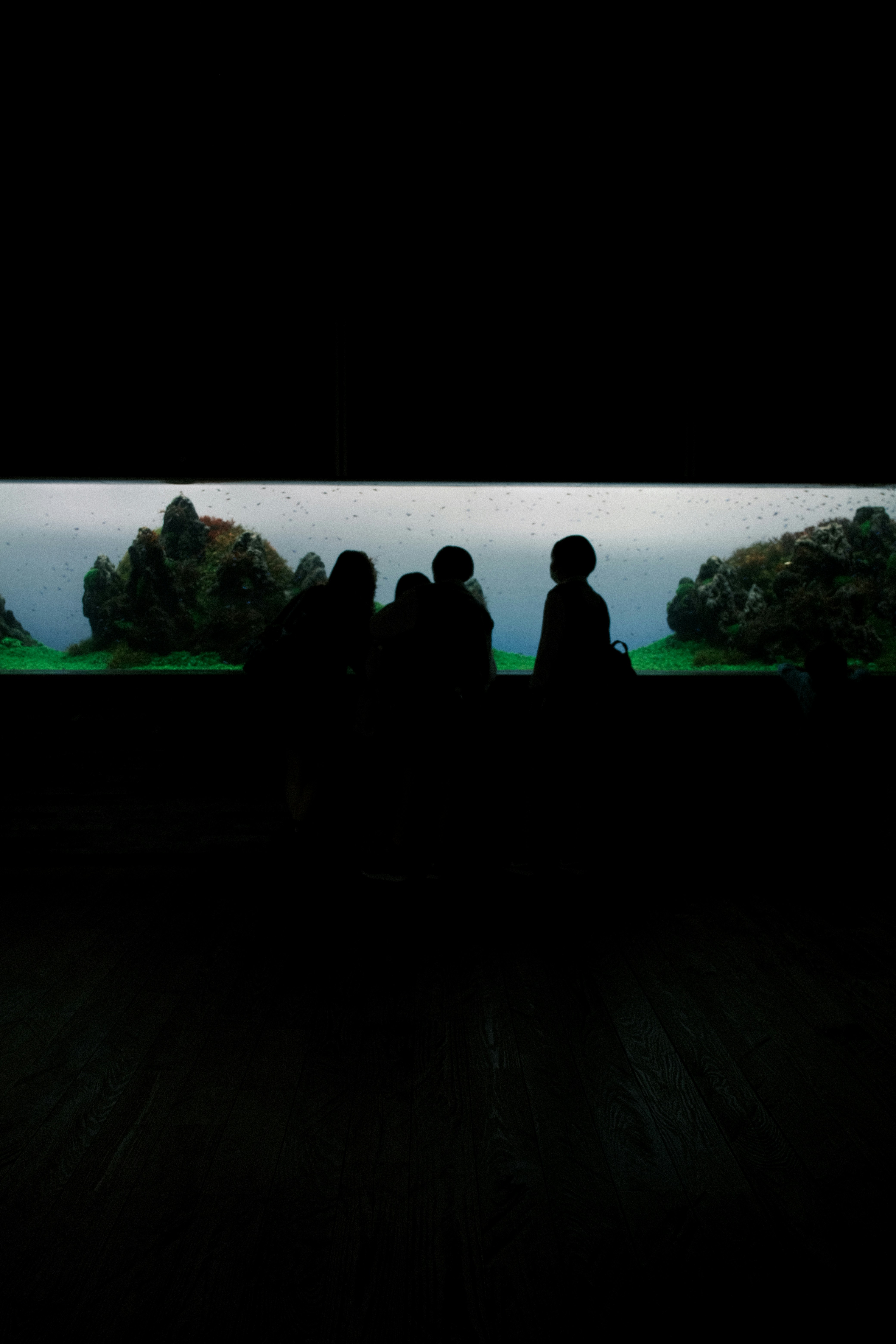 A group of people looking into a tank at the Sumida Aquarium, located in Tokyo, Japan. | Silhouettes of people watching aquarium with awe