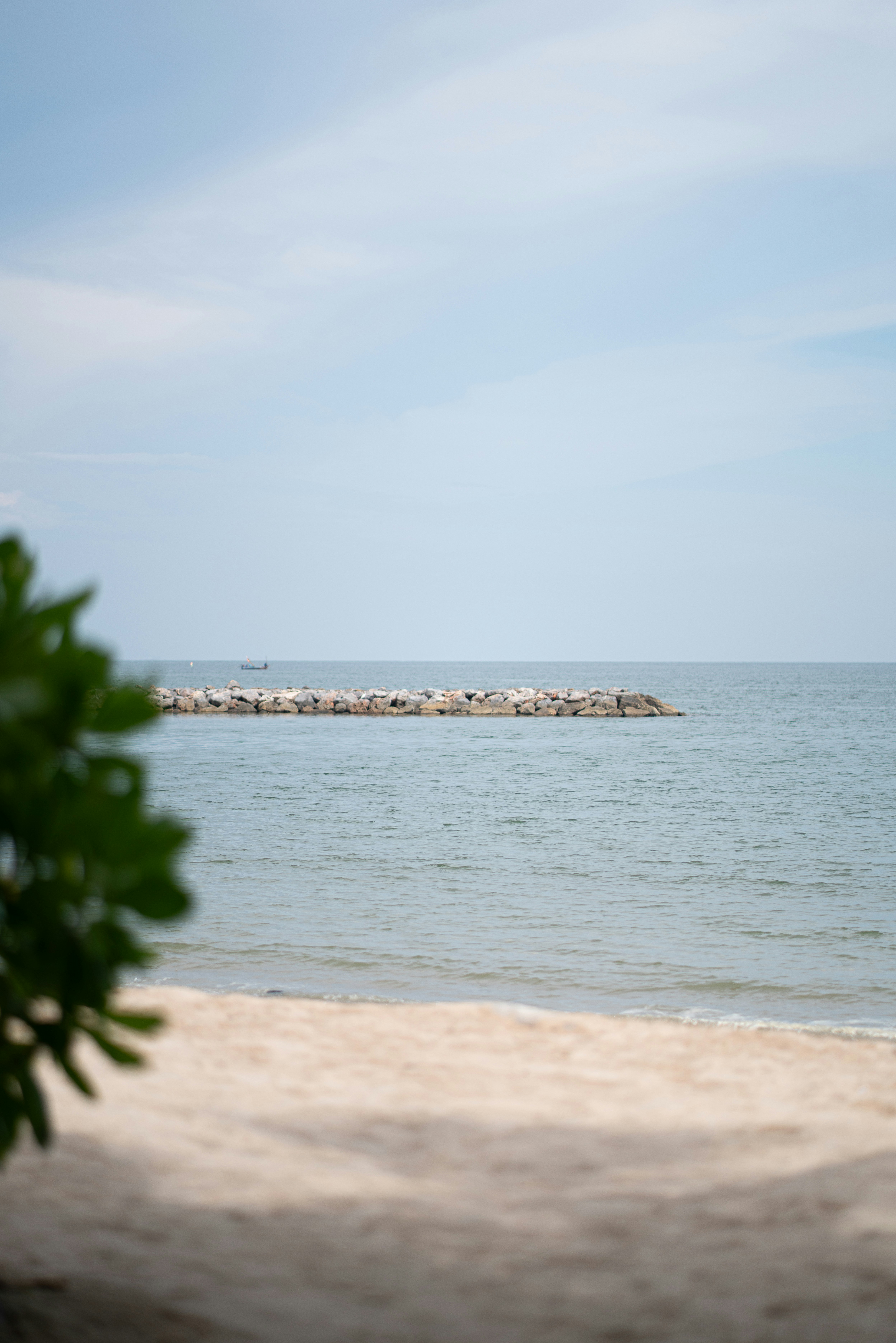Serenity at the Water's Edge