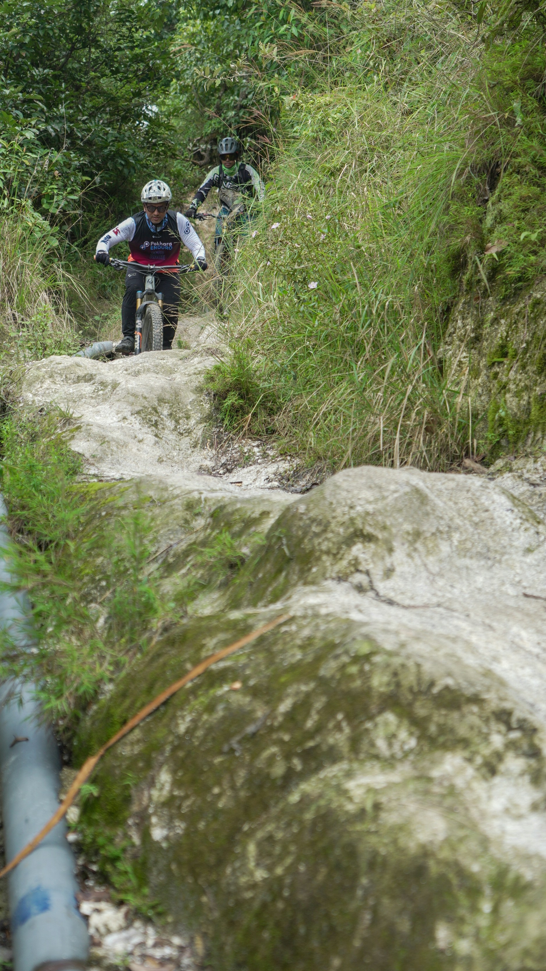 Two cyclists ride down a rocky, overgrown trail.